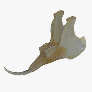 3D Deformed Models | TurboSquid