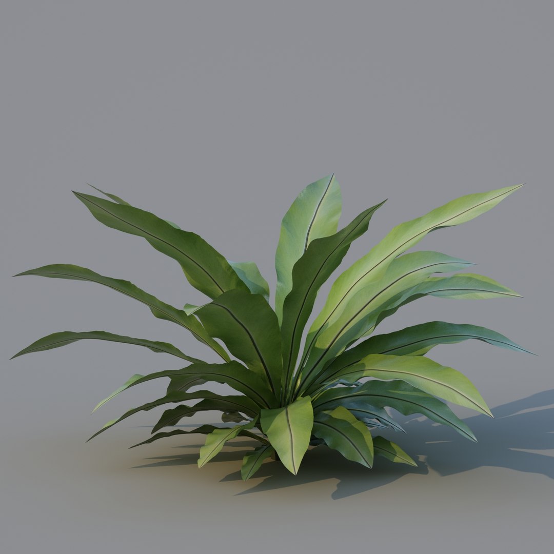 3D model plant - TurboSquid 1428890