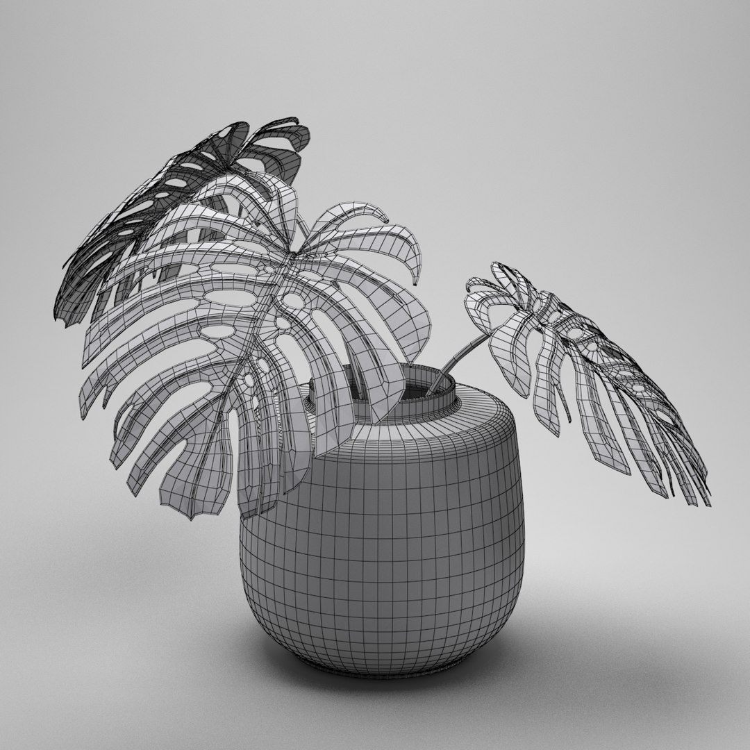 monstera plant 3d model