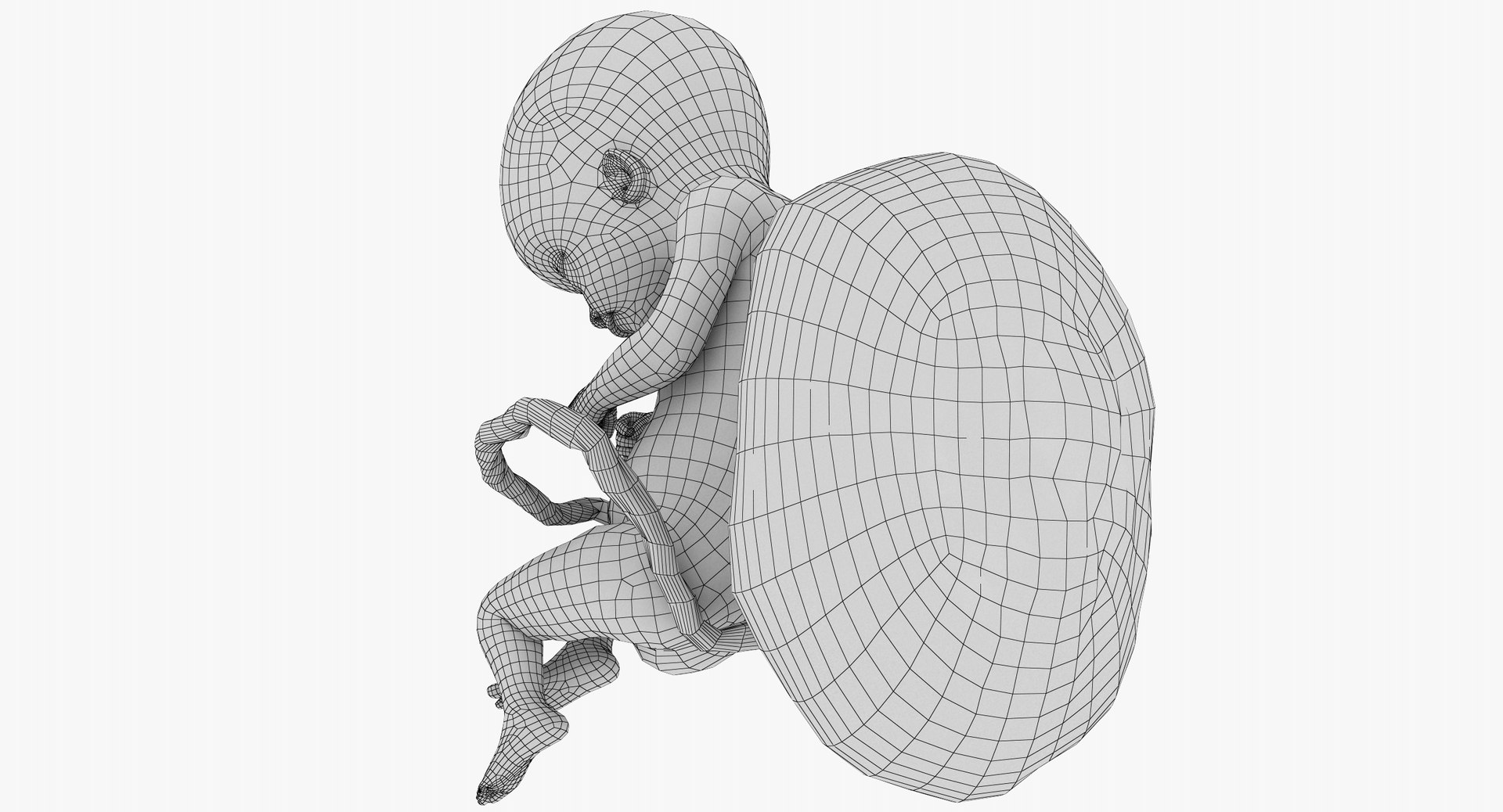 3D Model Fetus Week - TurboSquid 1223534
