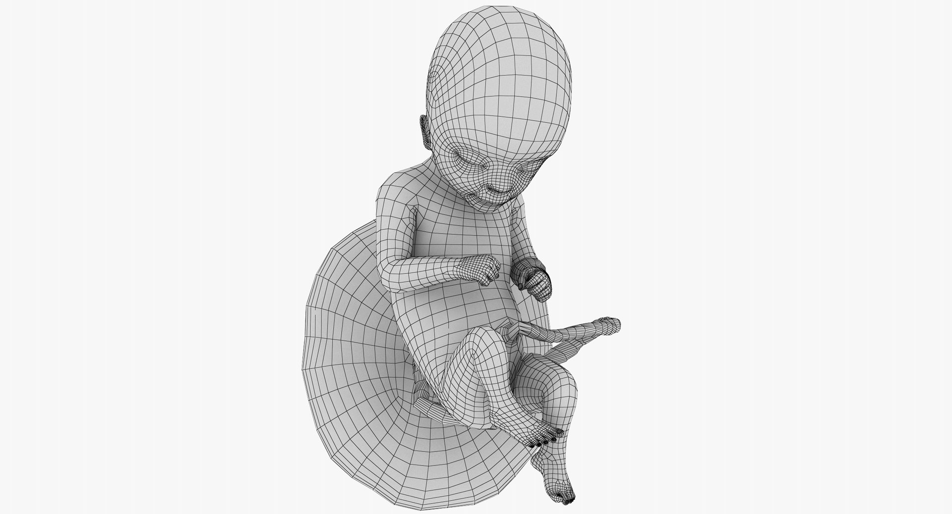 3D Model Fetus Week - TurboSquid 1223534