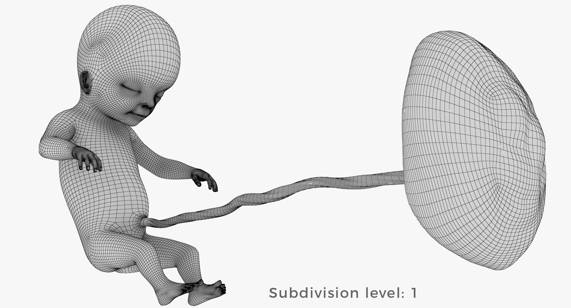 3D Model Fetus Week - TurboSquid 1223534