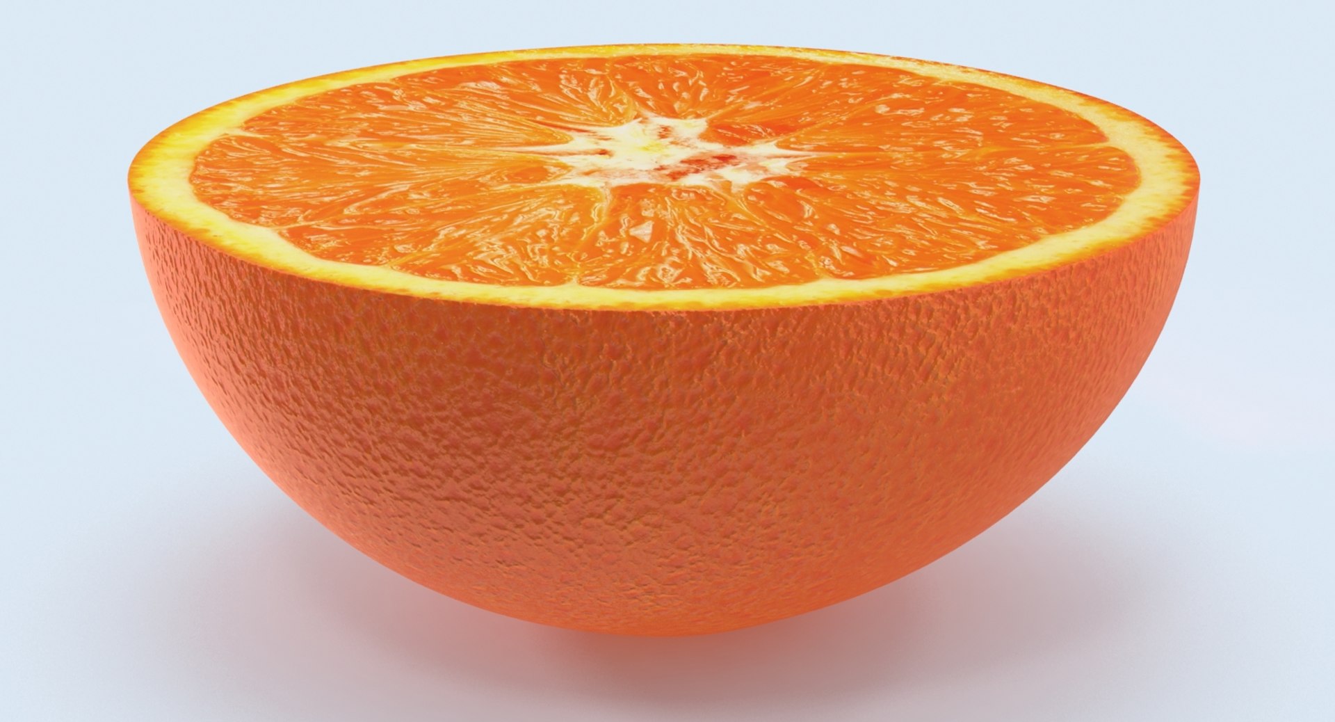 3d Model Tangerine Cross Section