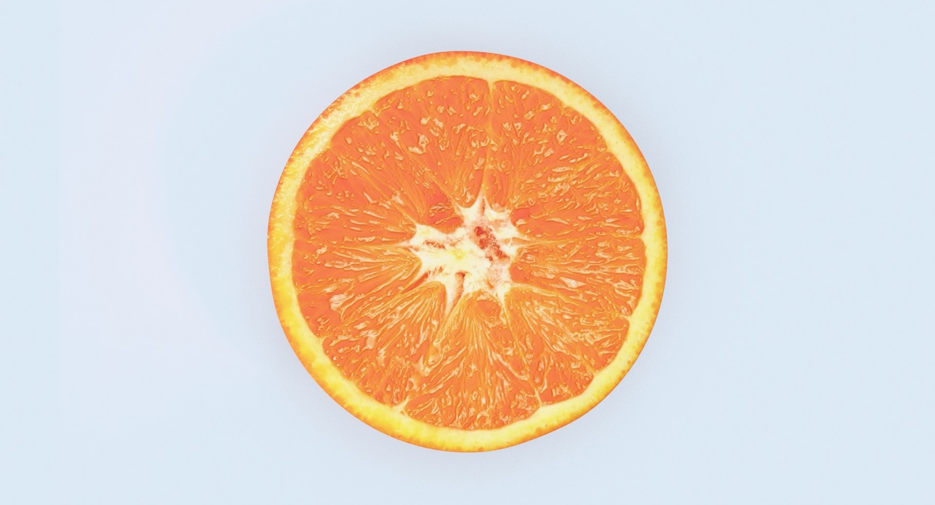 3d Model Tangerine Cross Section