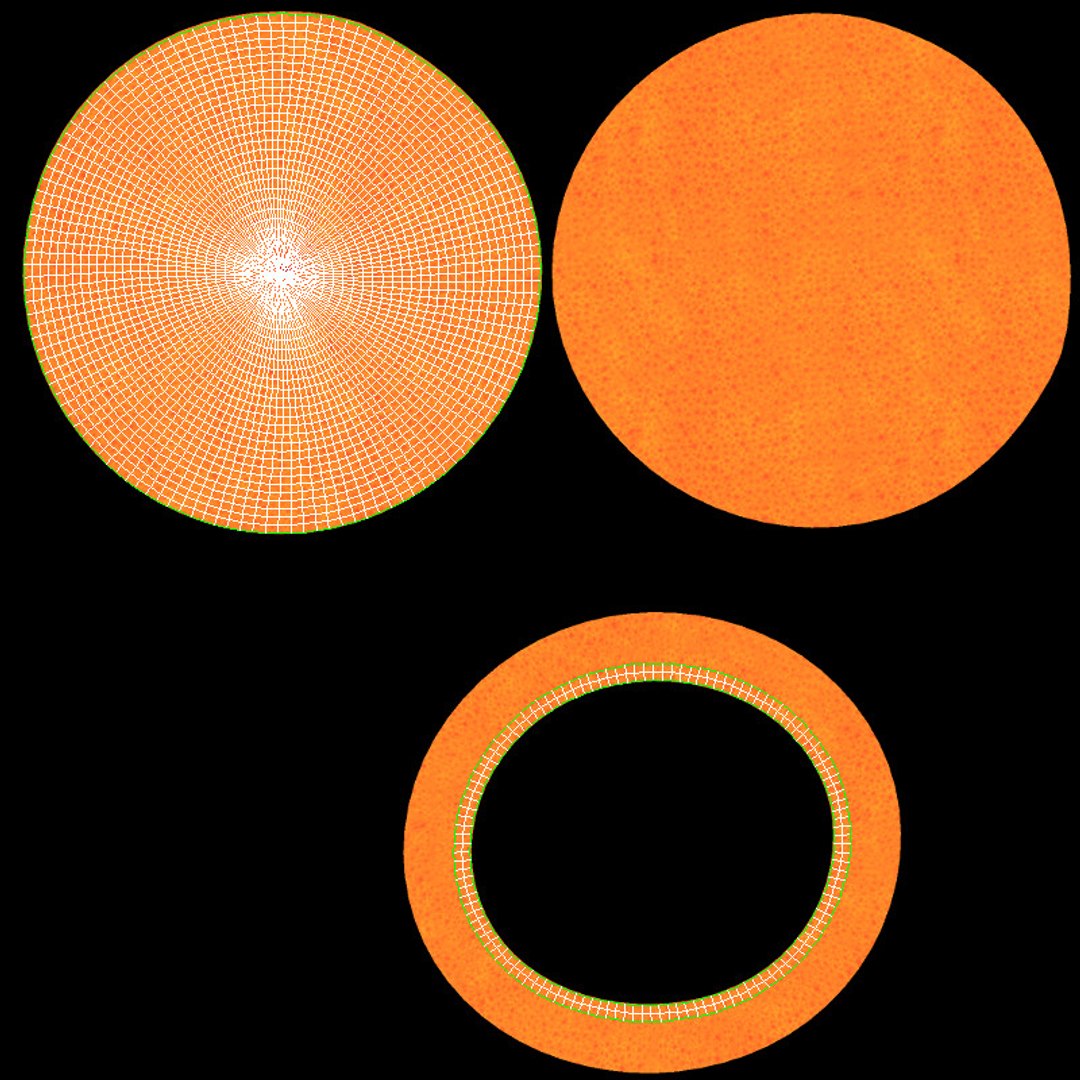 3d Model Tangerine Cross Section