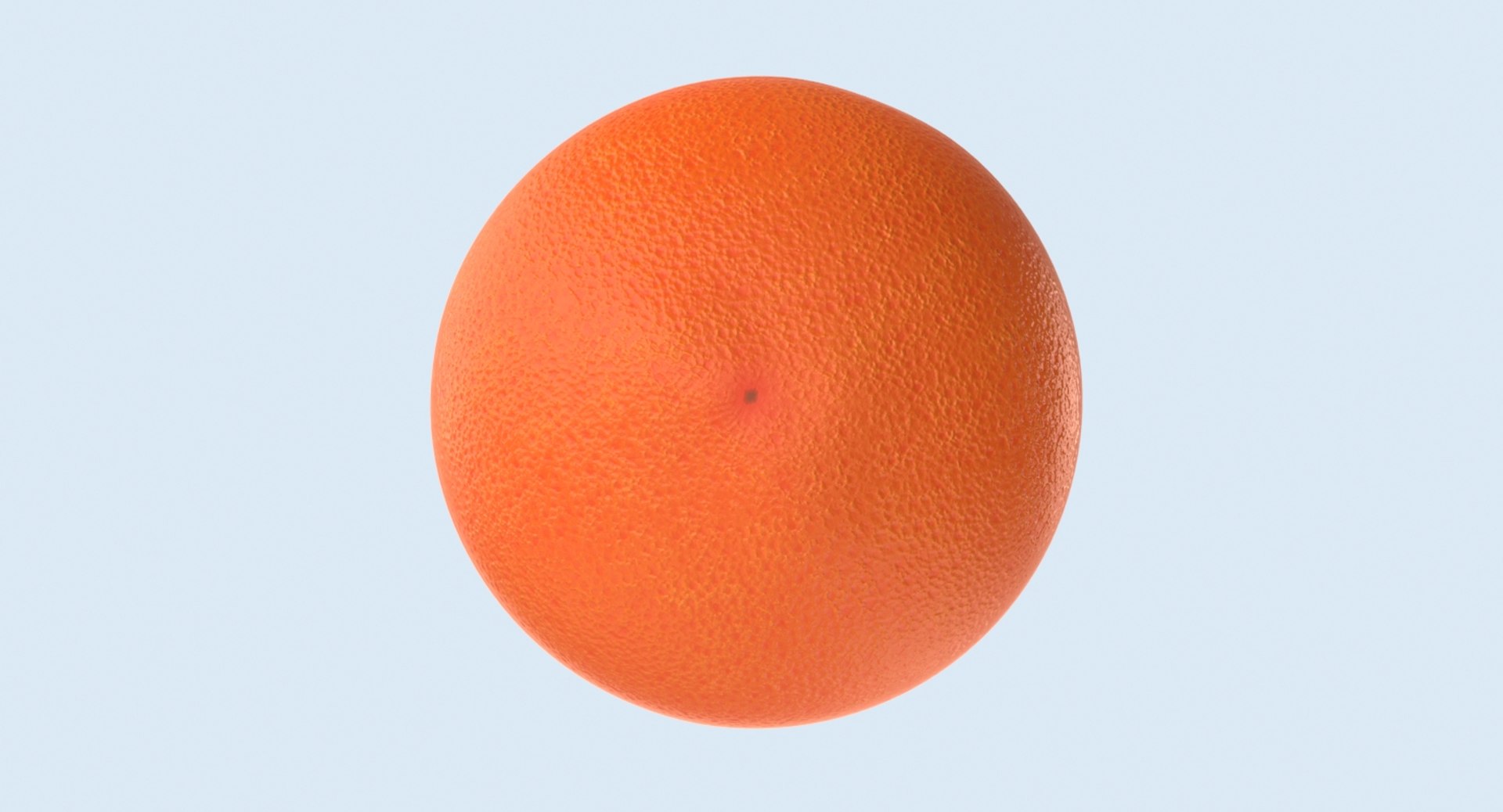 3d Model Tangerine Cross Section