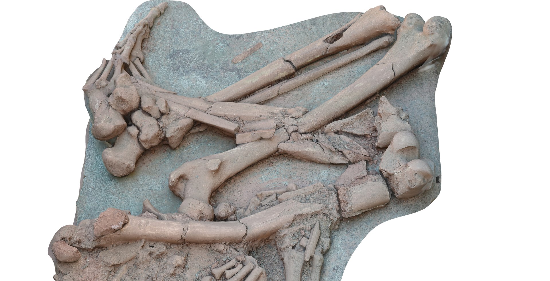 ANCIENT HUMAN SKELETON 3D Model - TurboSquid 2040088