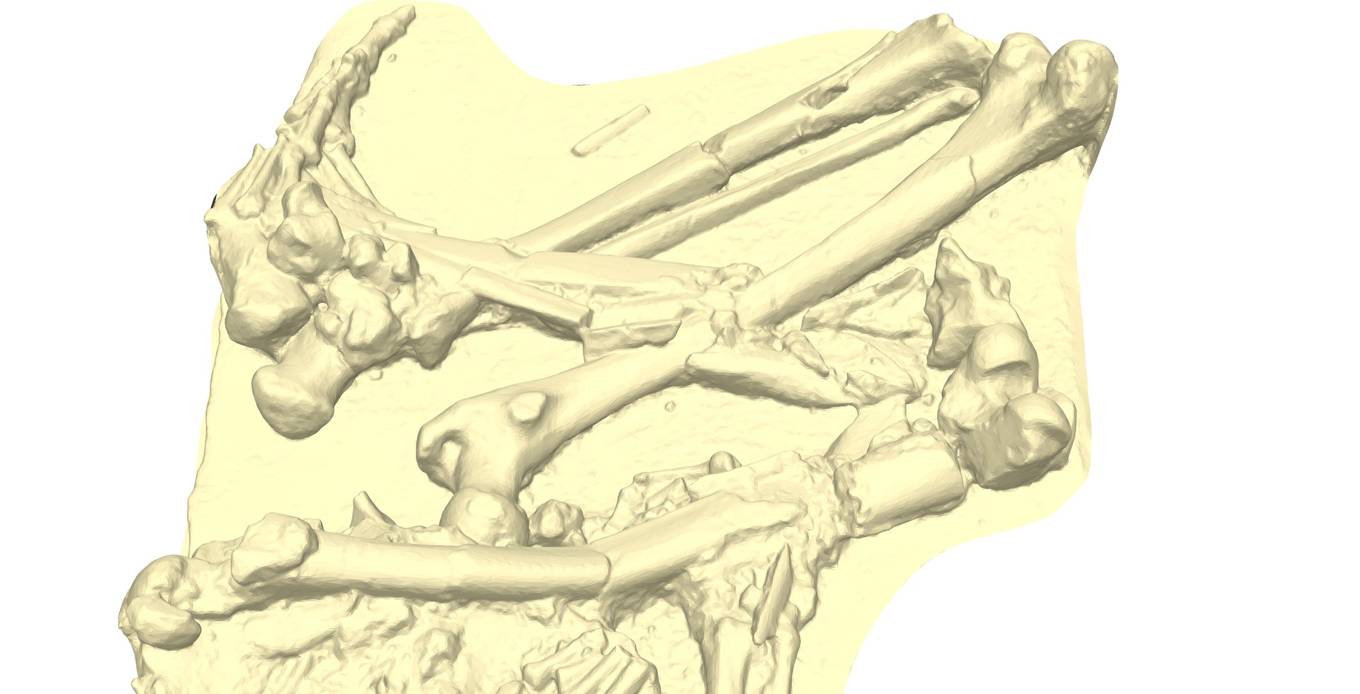 ANCIENT HUMAN SKELETON 3D Model - TurboSquid 2040088