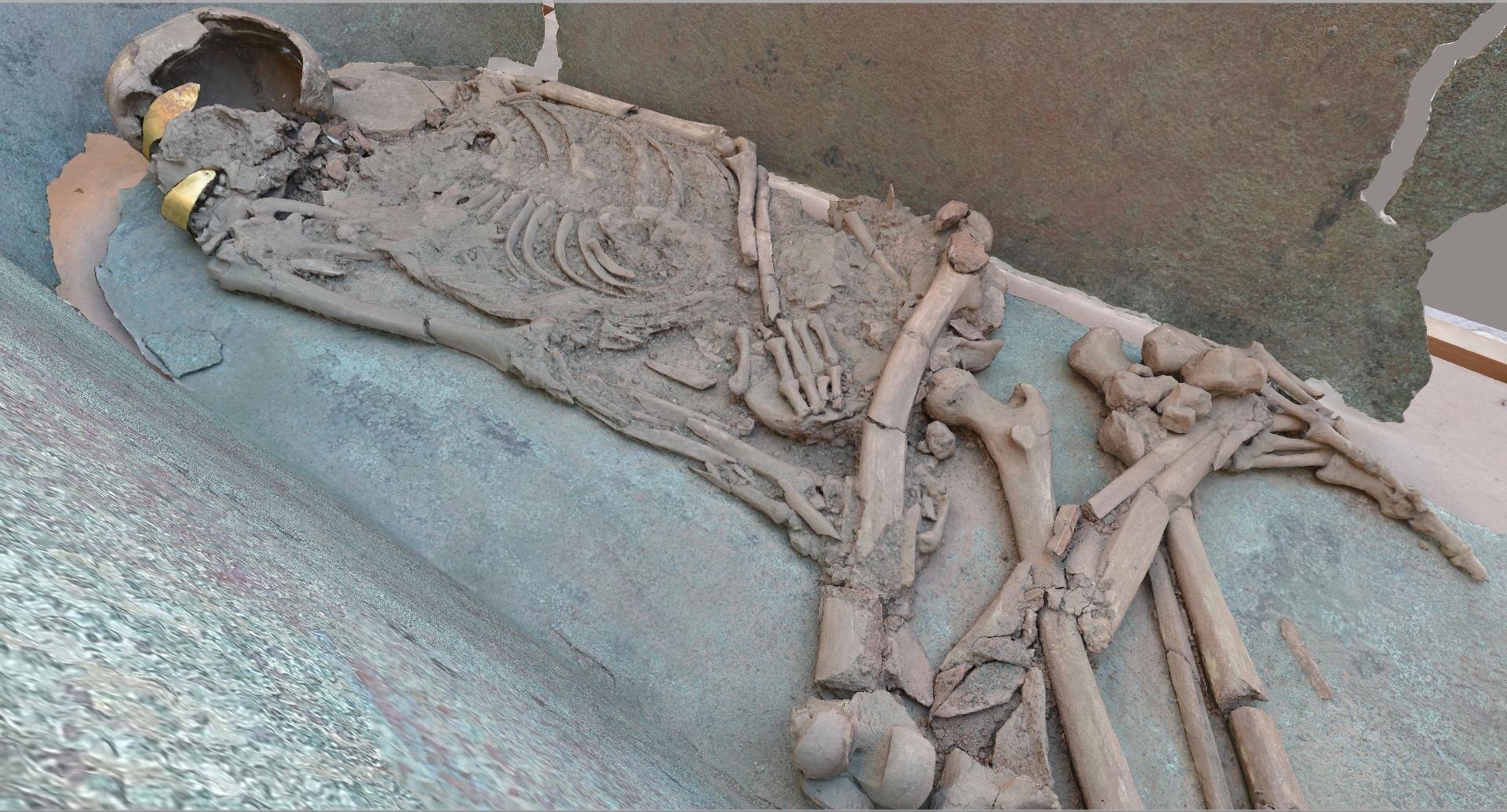 ANCIENT HUMAN SKELETON 3D Model - TurboSquid 2040088