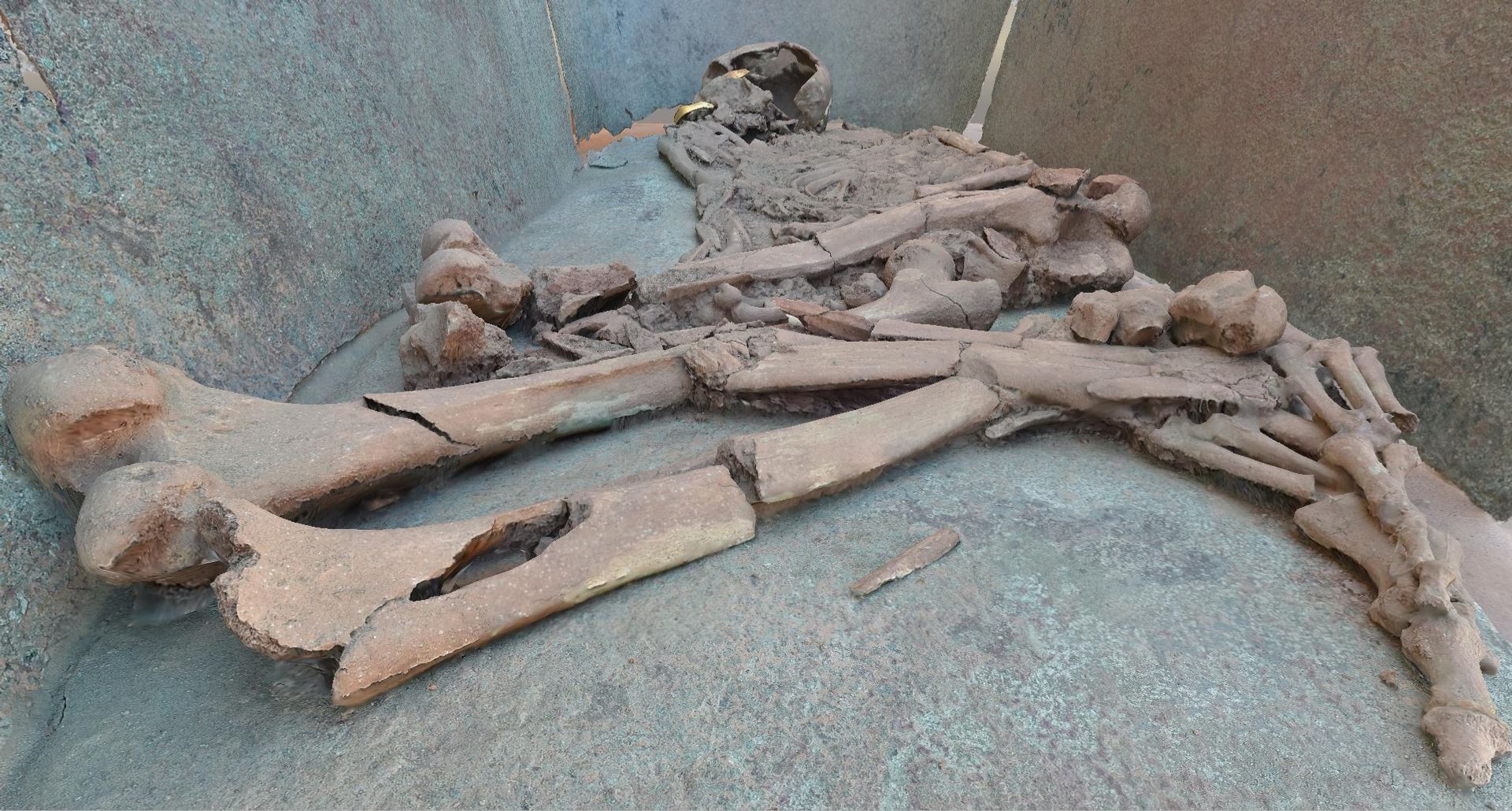 ANCIENT HUMAN SKELETON 3D Model - TurboSquid 2040088