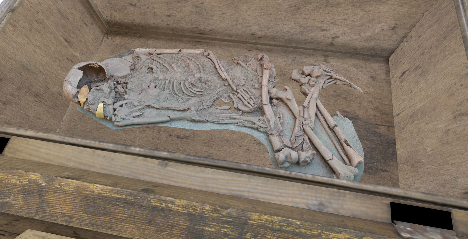 ANCIENT HUMAN SKELETON 3D Model - TurboSquid 2040088