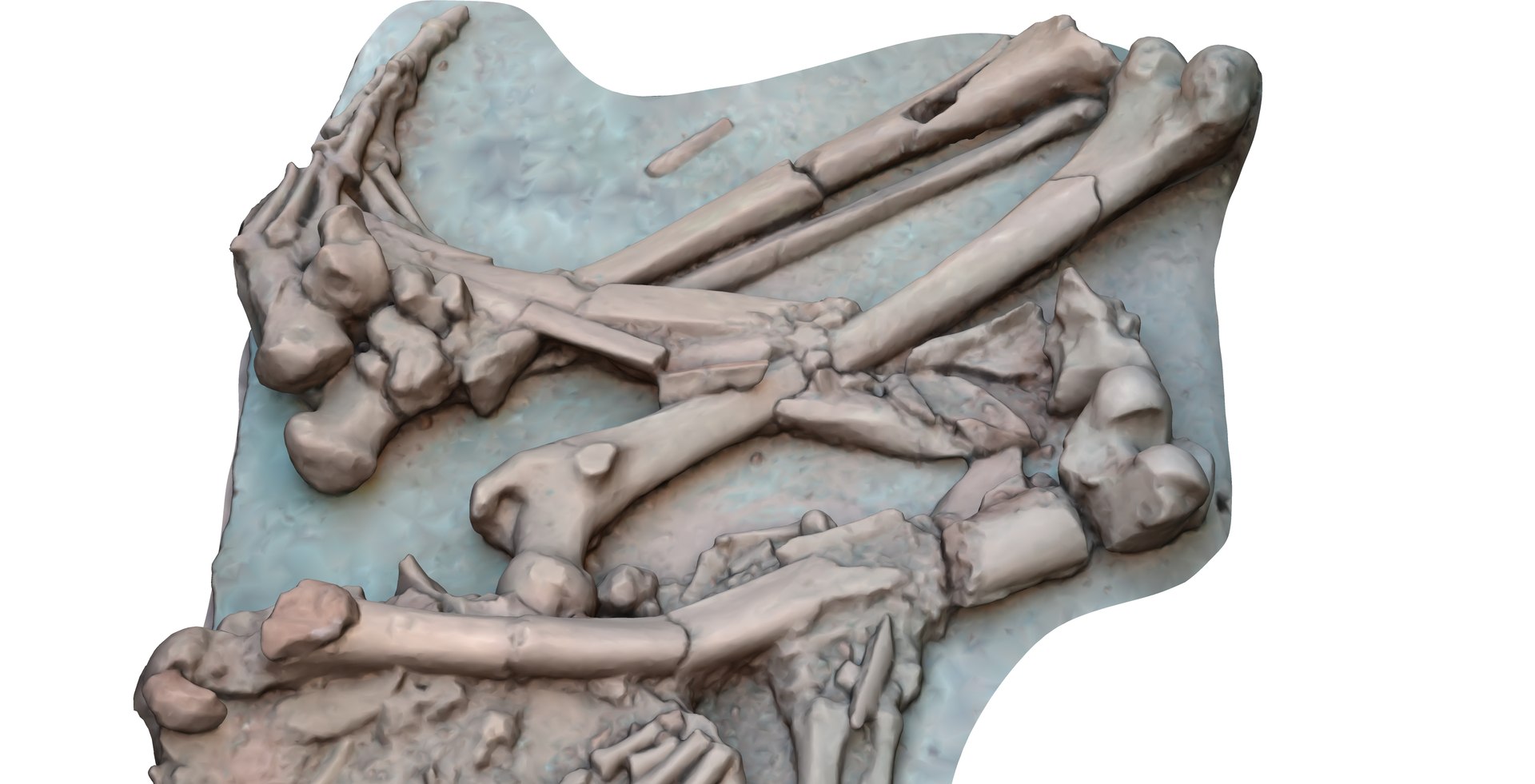 ANCIENT HUMAN SKELETON 3D Model - TurboSquid 2040088