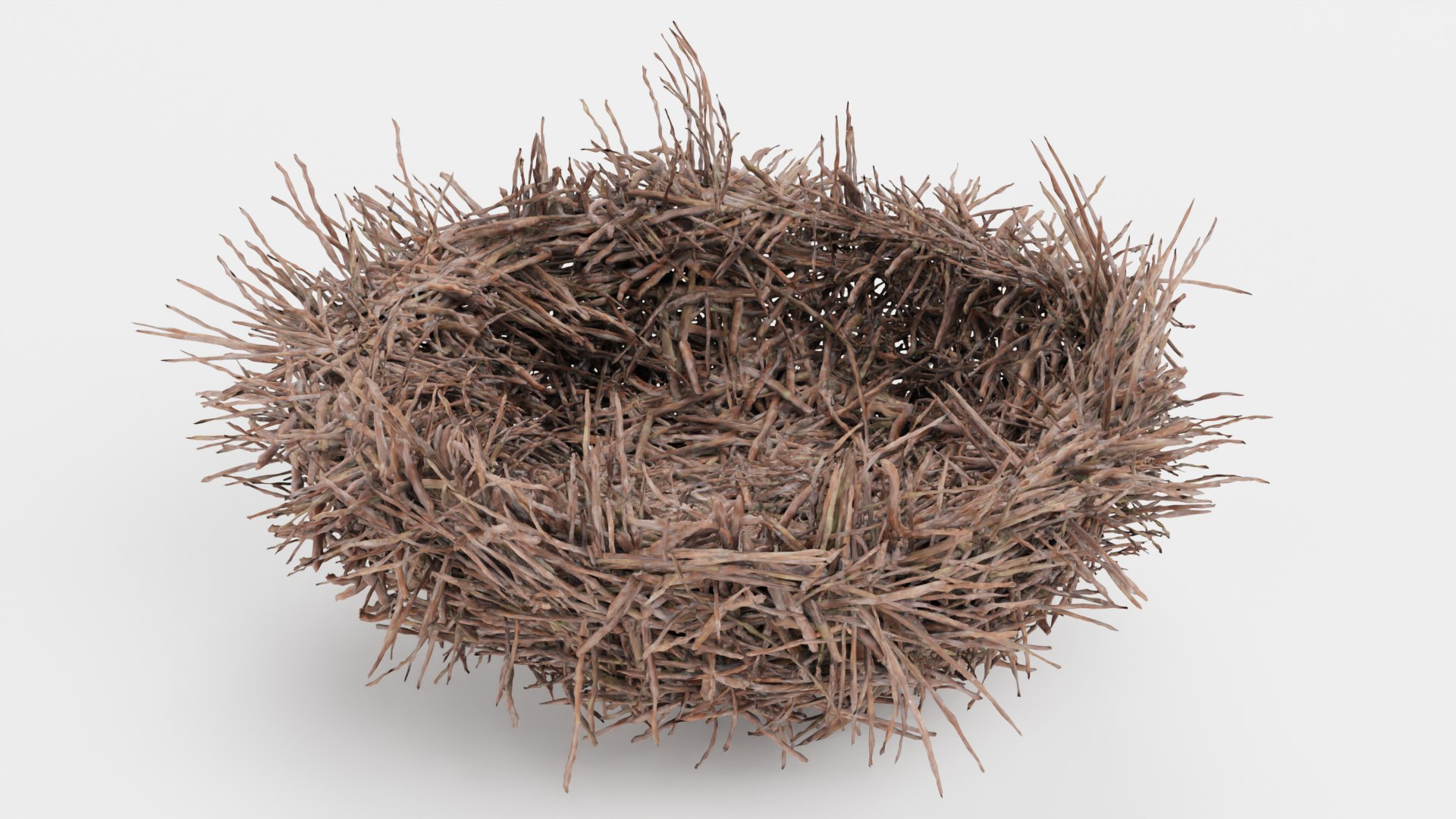 3D Model Nest - TurboSquid 1765269
