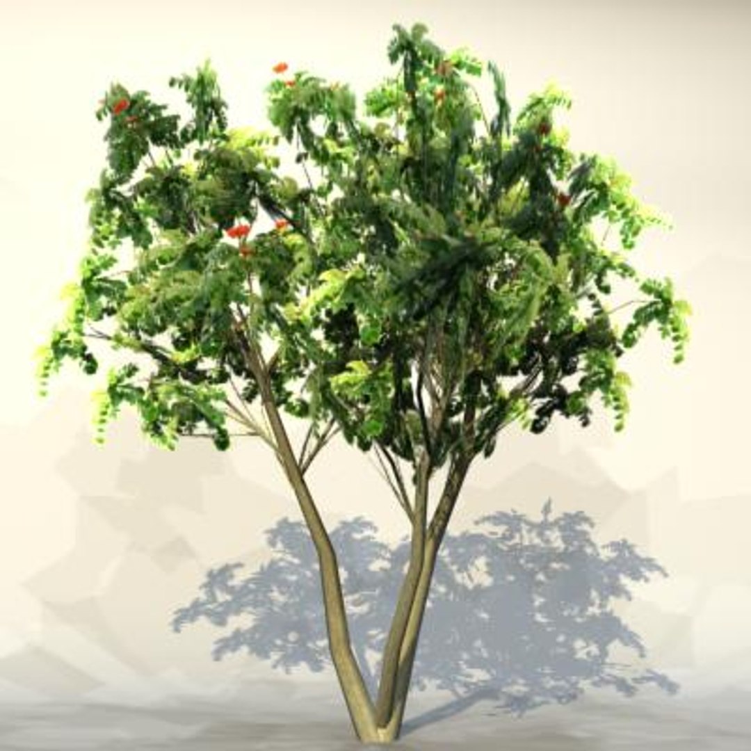 Pc Tree 3d Model