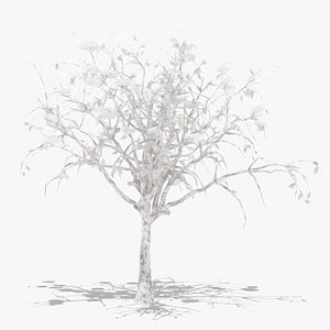 3d Snow Tree