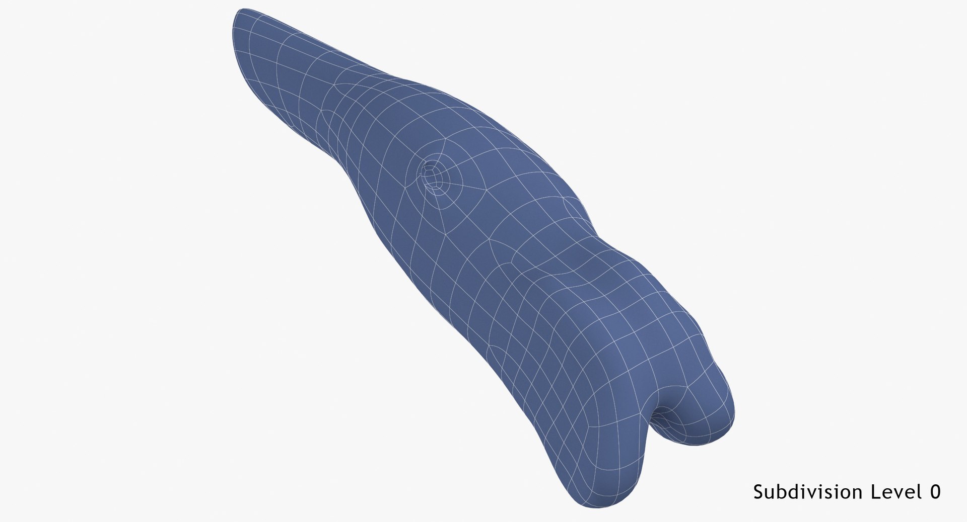 3D Dog Thigh Bone Femur Model - TurboSquid 1548932