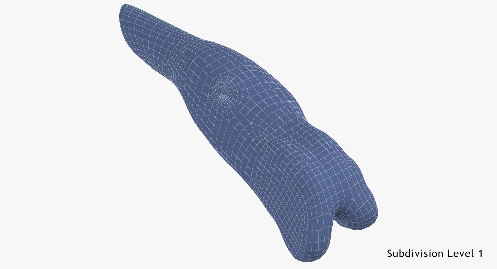 3D Dog Thigh Bone Femur Model - TurboSquid 1548932
