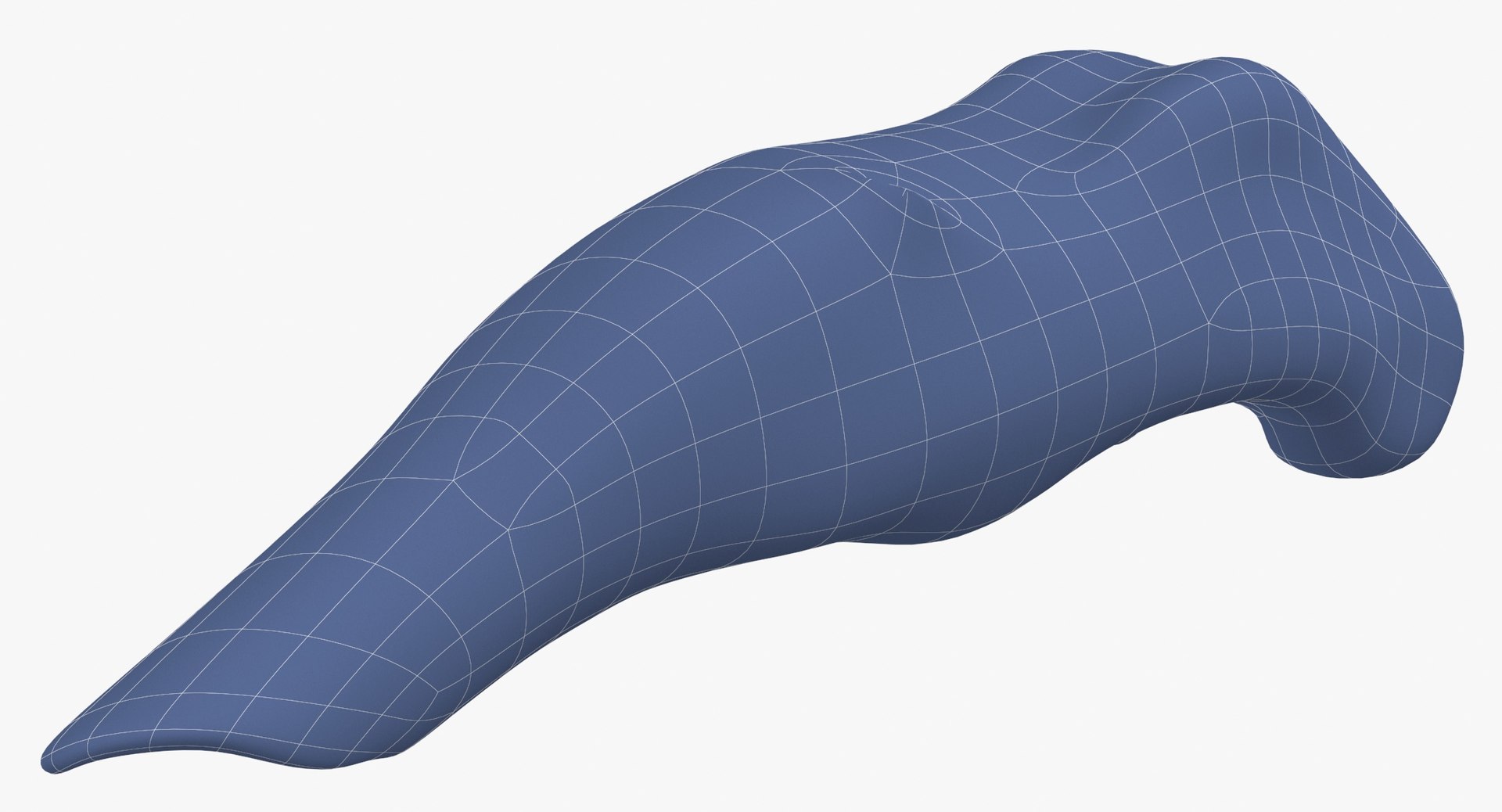 3D Dog Thigh Bone Femur Model - TurboSquid 1548932