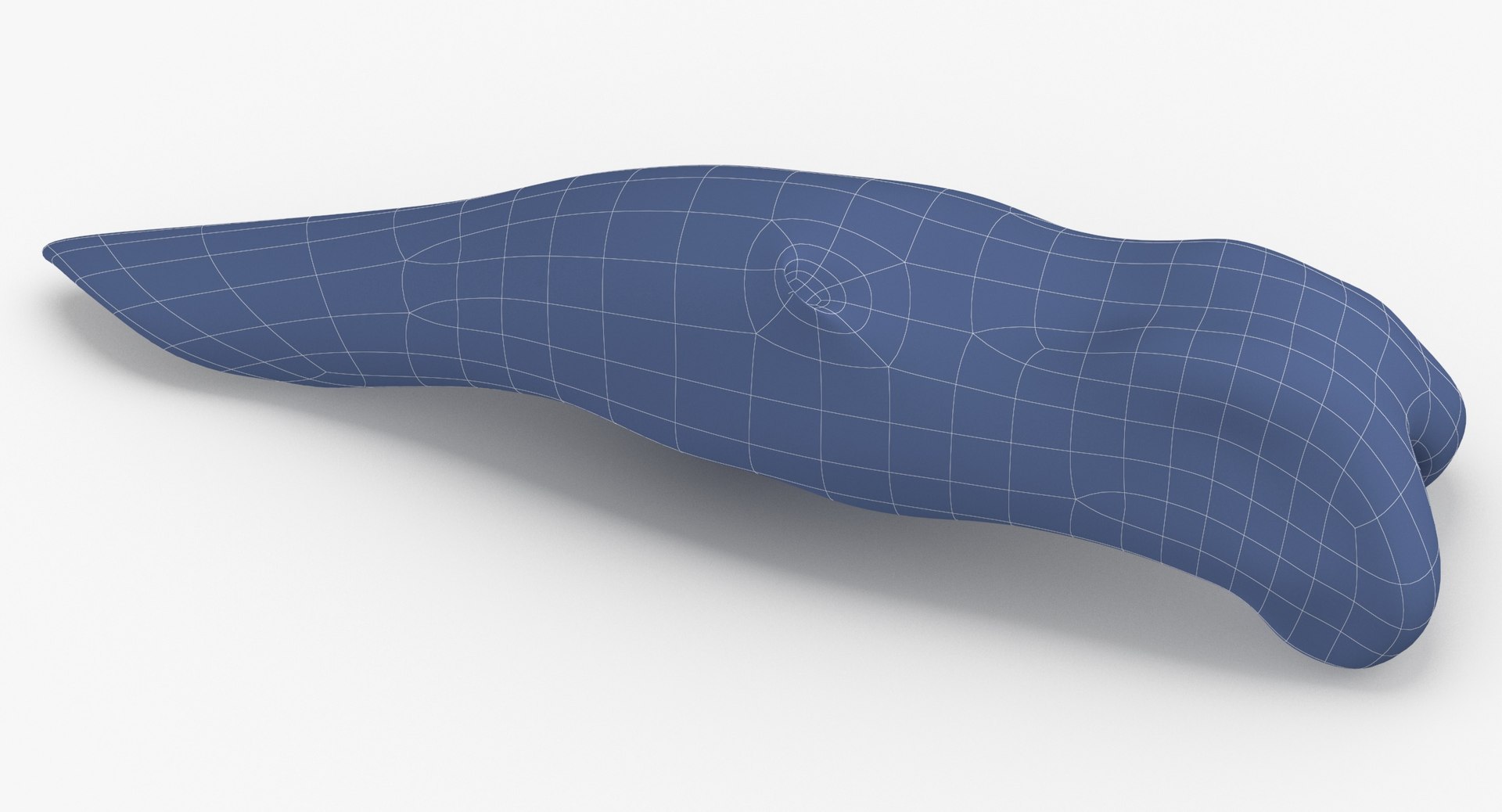 3D Dog Thigh Bone Femur Model - TurboSquid 1548932