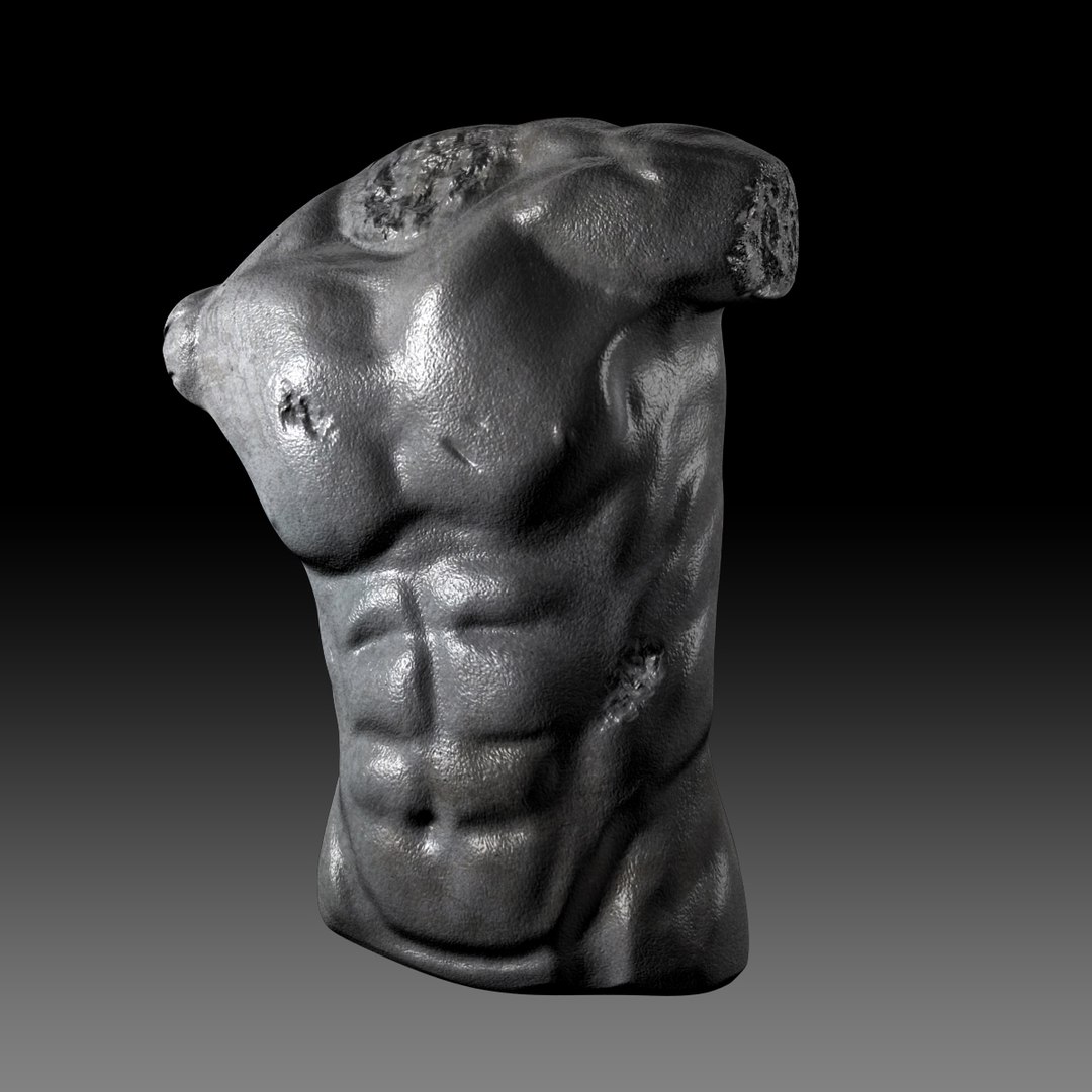 3dsmax Sculpture Upper Body Anatomy