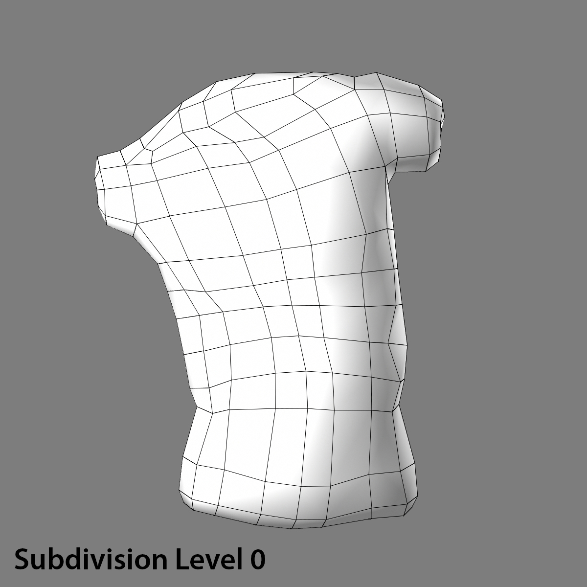 3dsmax sculpture upper body anatomy