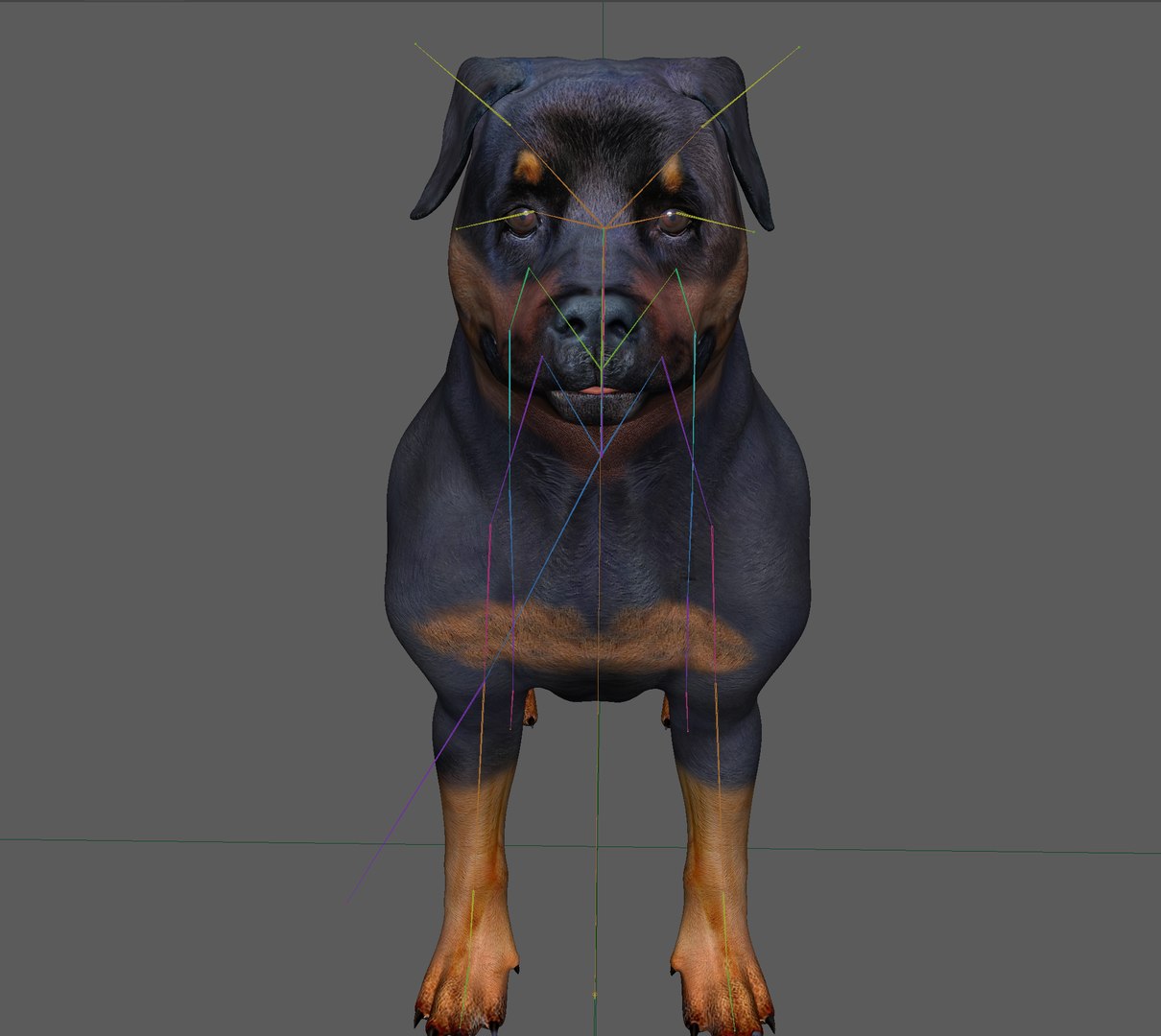 Rottweiler Dog Rigged 3D - TurboSquid 1963897