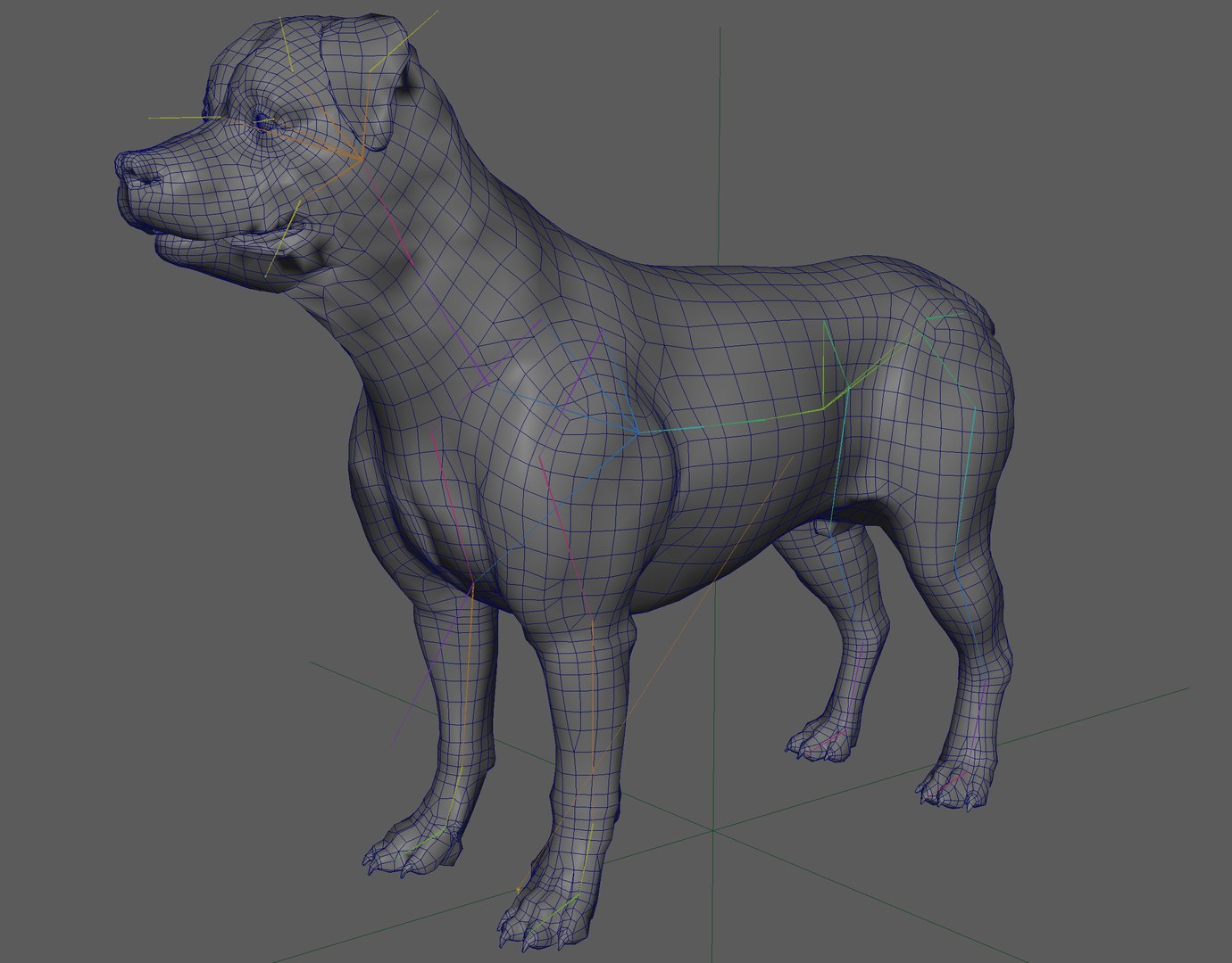 Rottweiler Dog Rigged 3D - TurboSquid 1963897