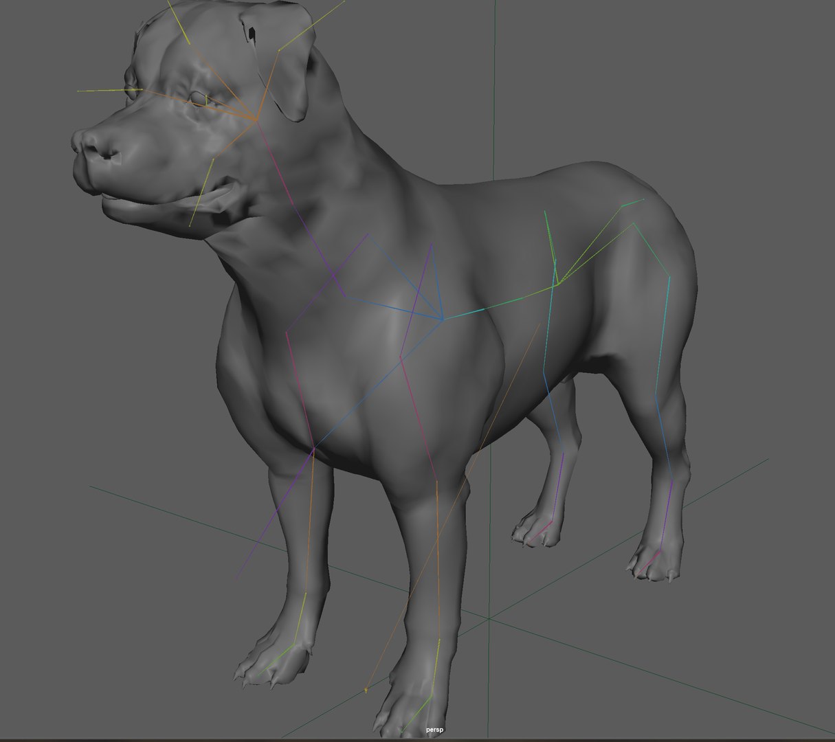Rottweiler Dog Rigged 3D - TurboSquid 1963897