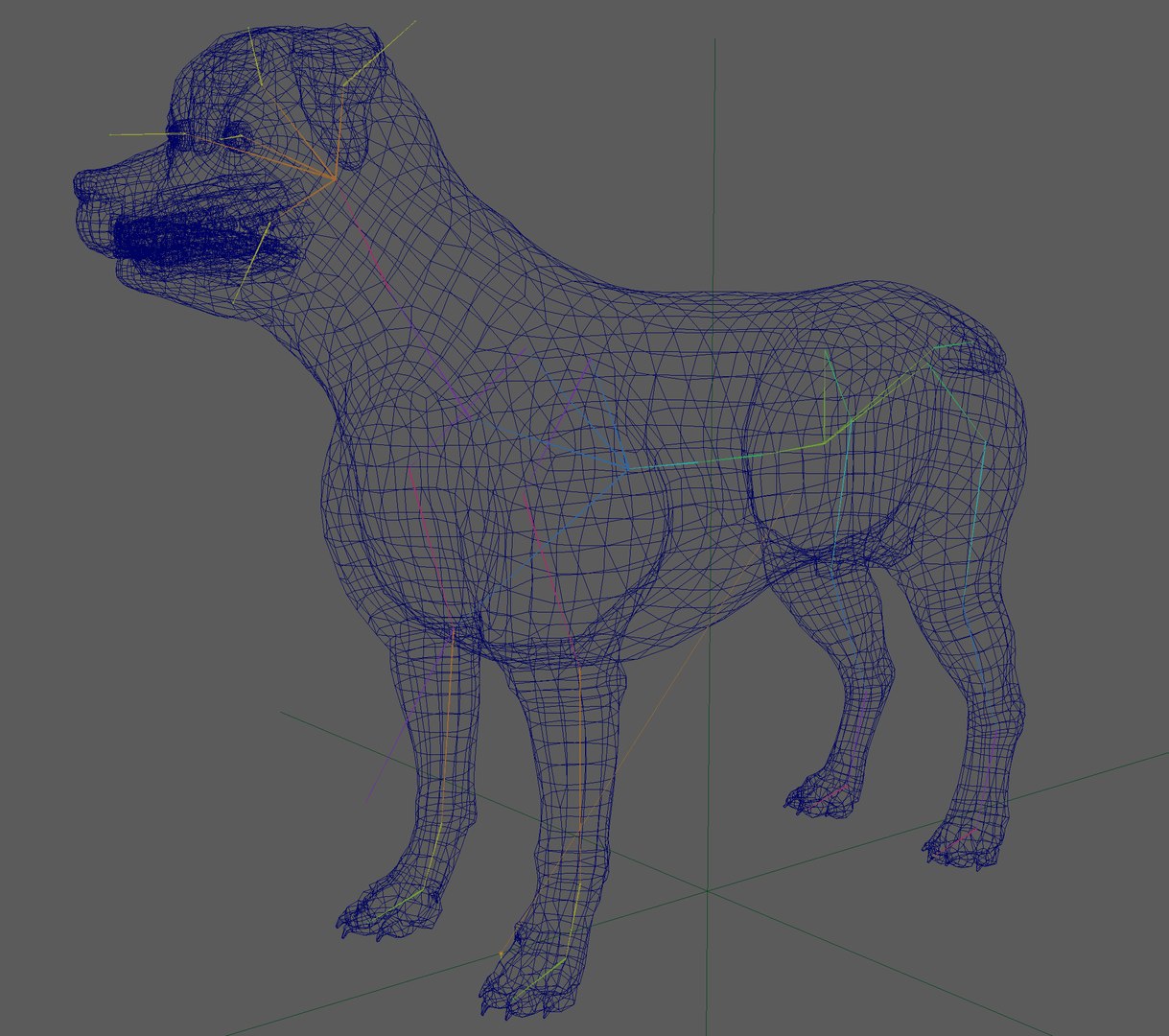 Rottweiler Dog Rigged 3D - TurboSquid 1963897