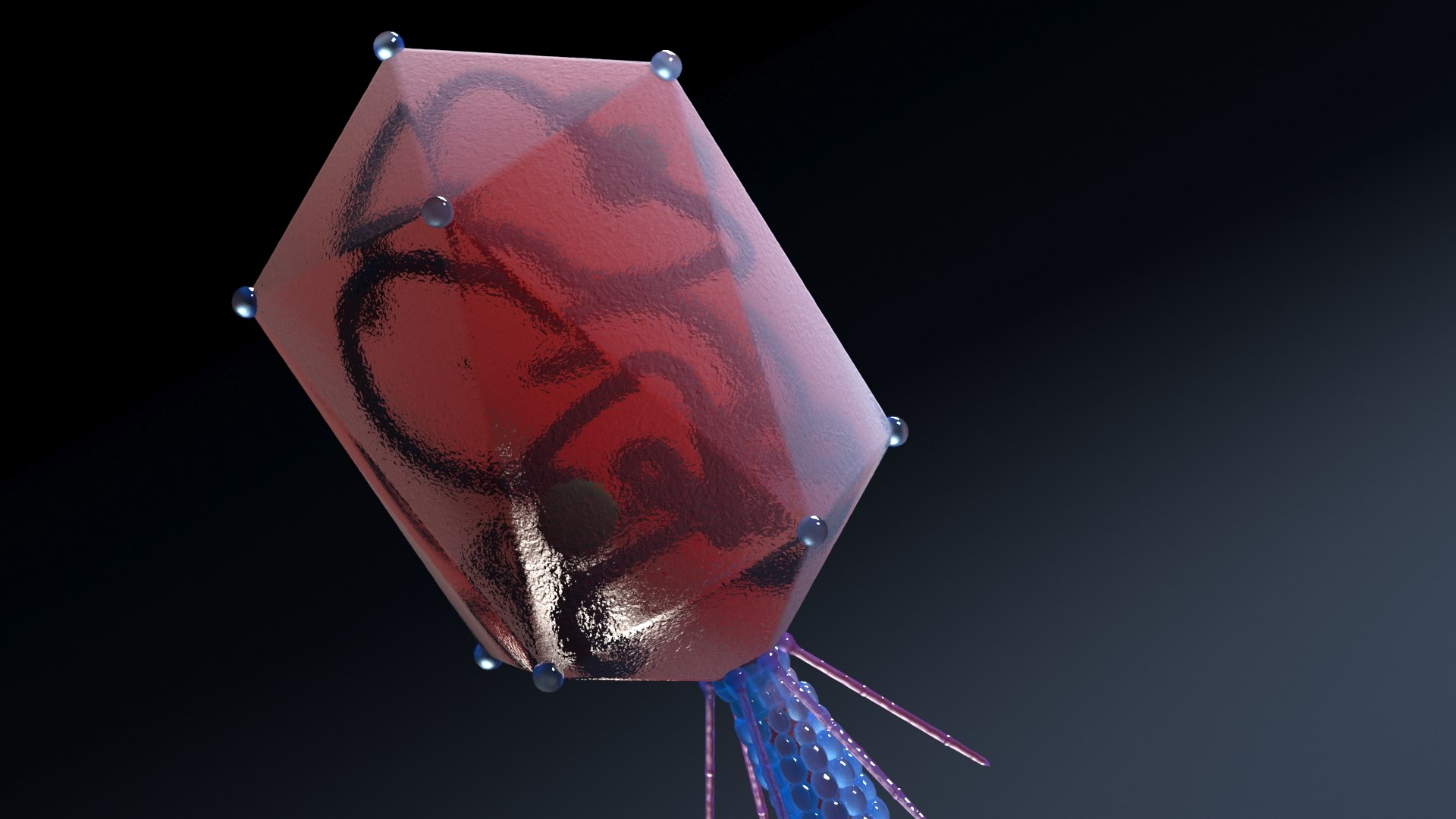 Bacteriophage T4 3D Model - TurboSquid 1753936