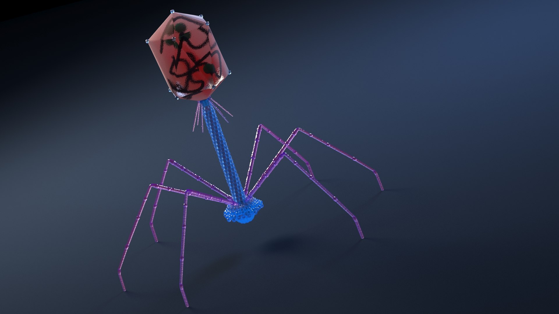 Bacteriophage T4 3D Model - TurboSquid 1753936