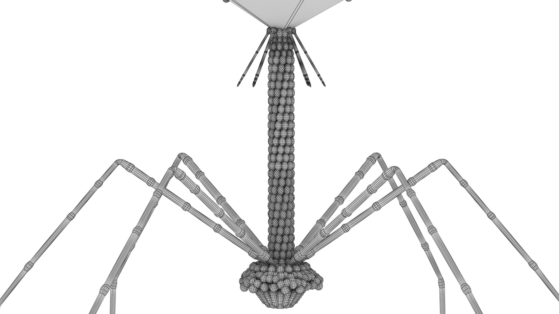 Bacteriophage T4 3D Model - TurboSquid 1753936