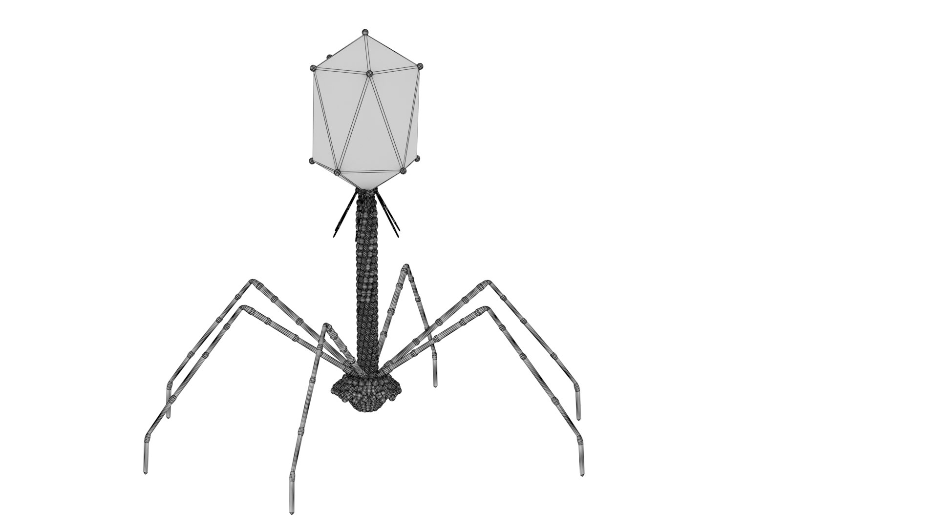 Bacteriophage T4 3D Model - TurboSquid 1753936