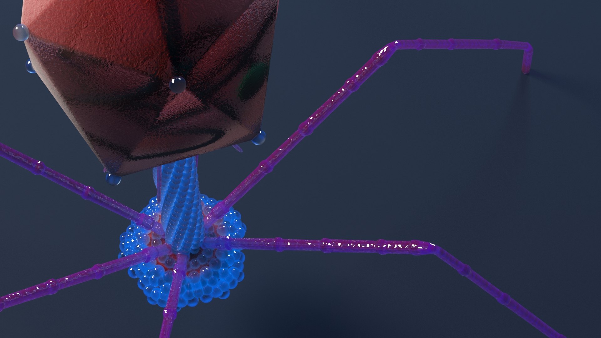 Bacteriophage T4 3D Model - TurboSquid 1753936