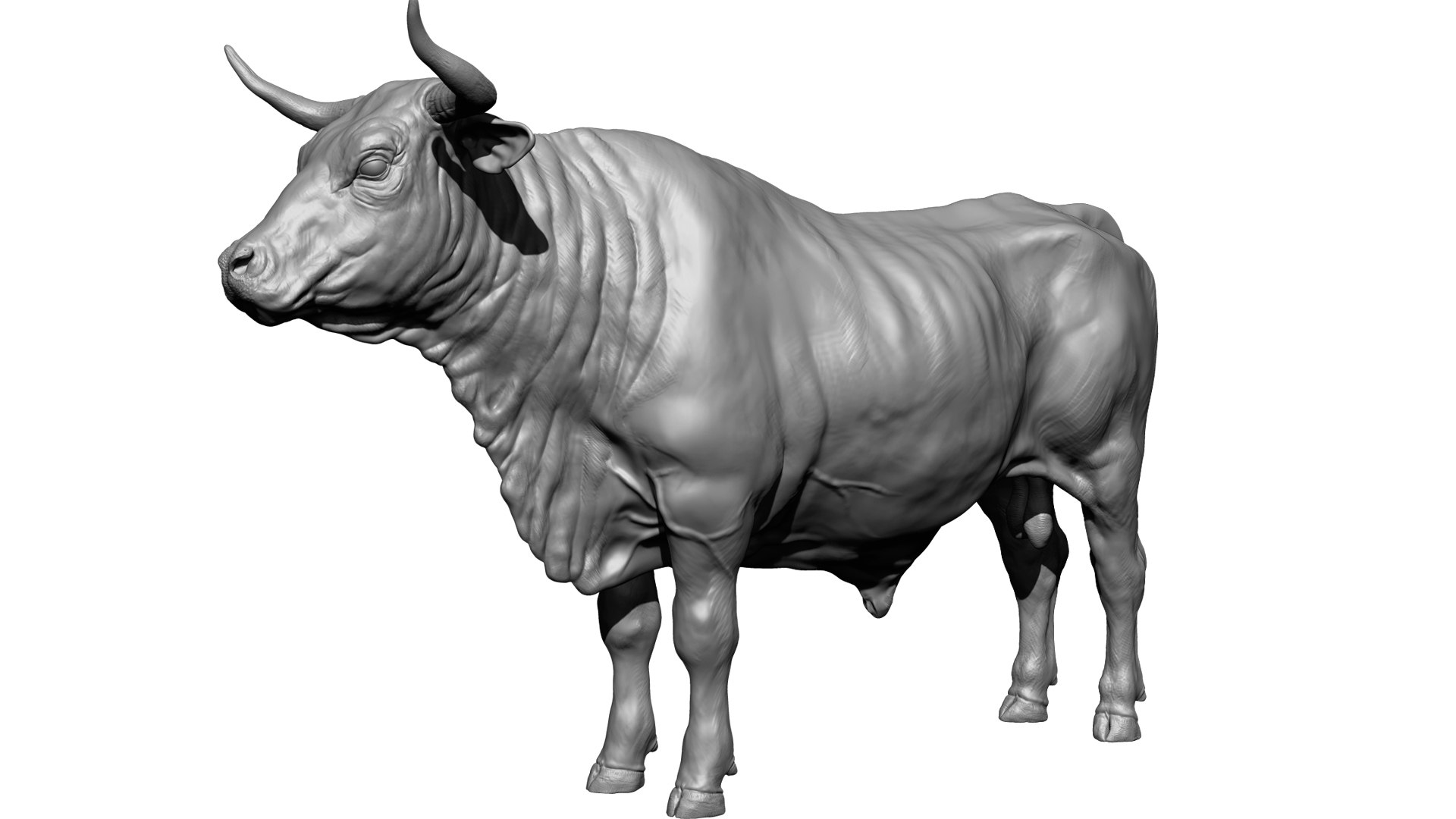 Bull 3D Model - TurboSquid 1707030
