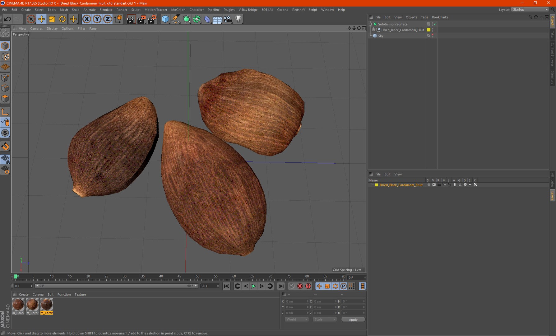 3D Model Dried Black Cardamom Fruit - TurboSquid 1918936