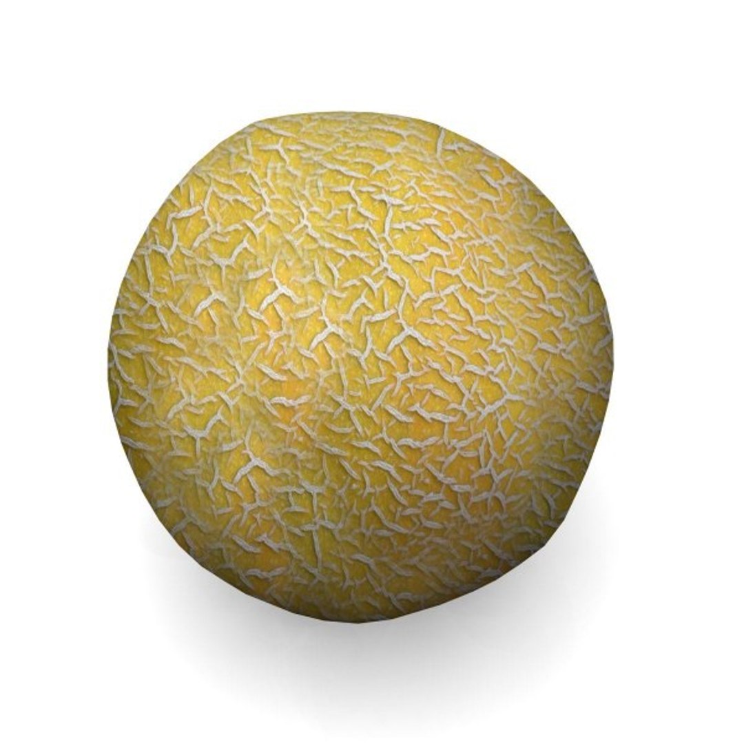 3d melon cassaba muskmelon model