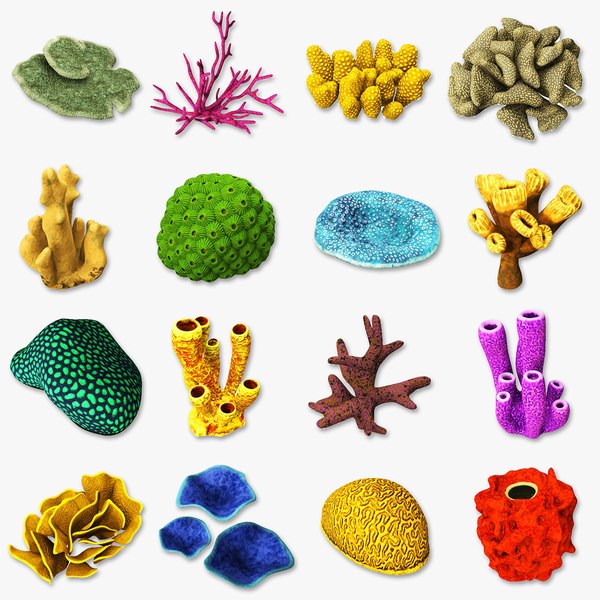 Coral Reef 3D Models for Download | TurboSquid
