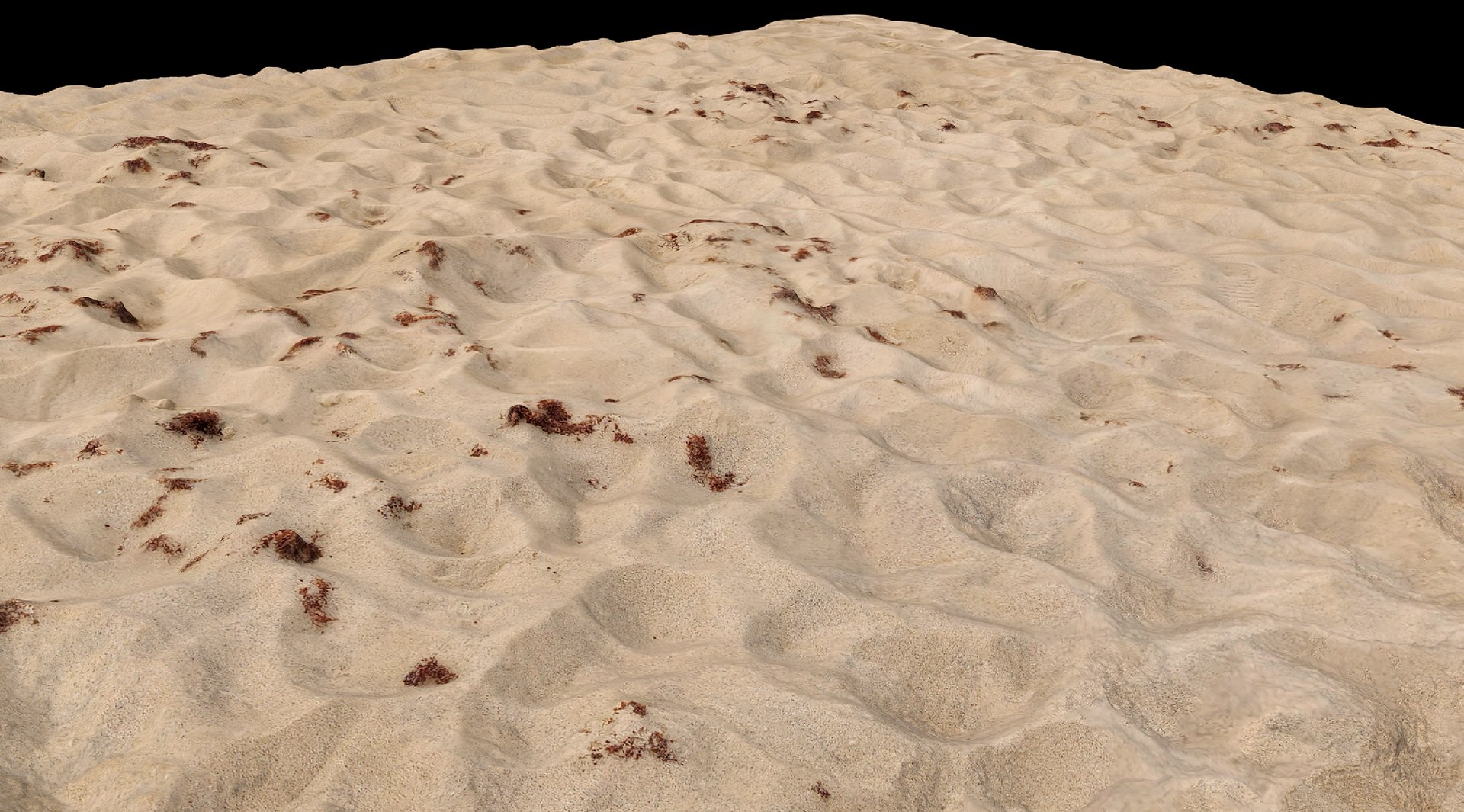 3D Ocean Beach 16K Ultra Scan 030 Model - TurboSquid 2180556