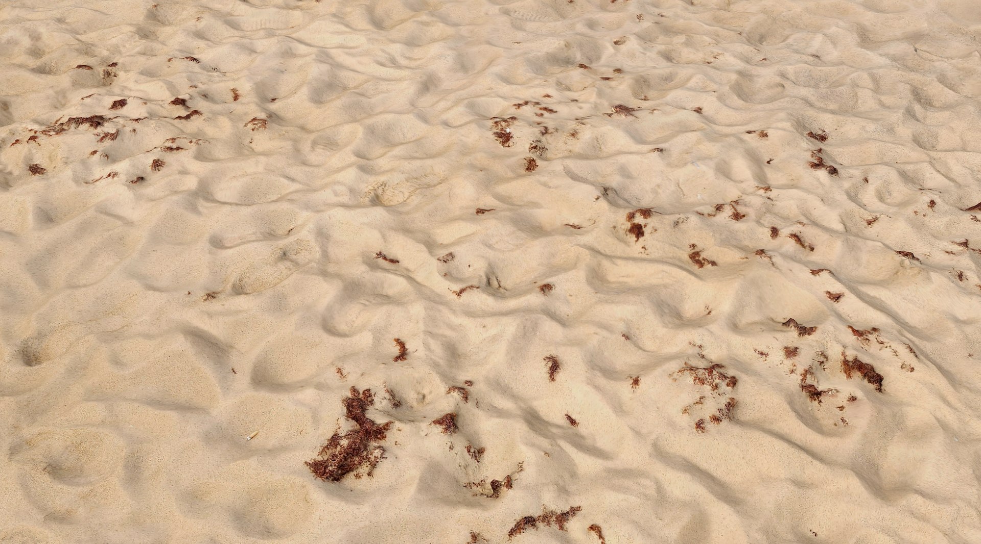 3D Ocean Beach 16K Ultra Scan 030 Model - TurboSquid 2180556