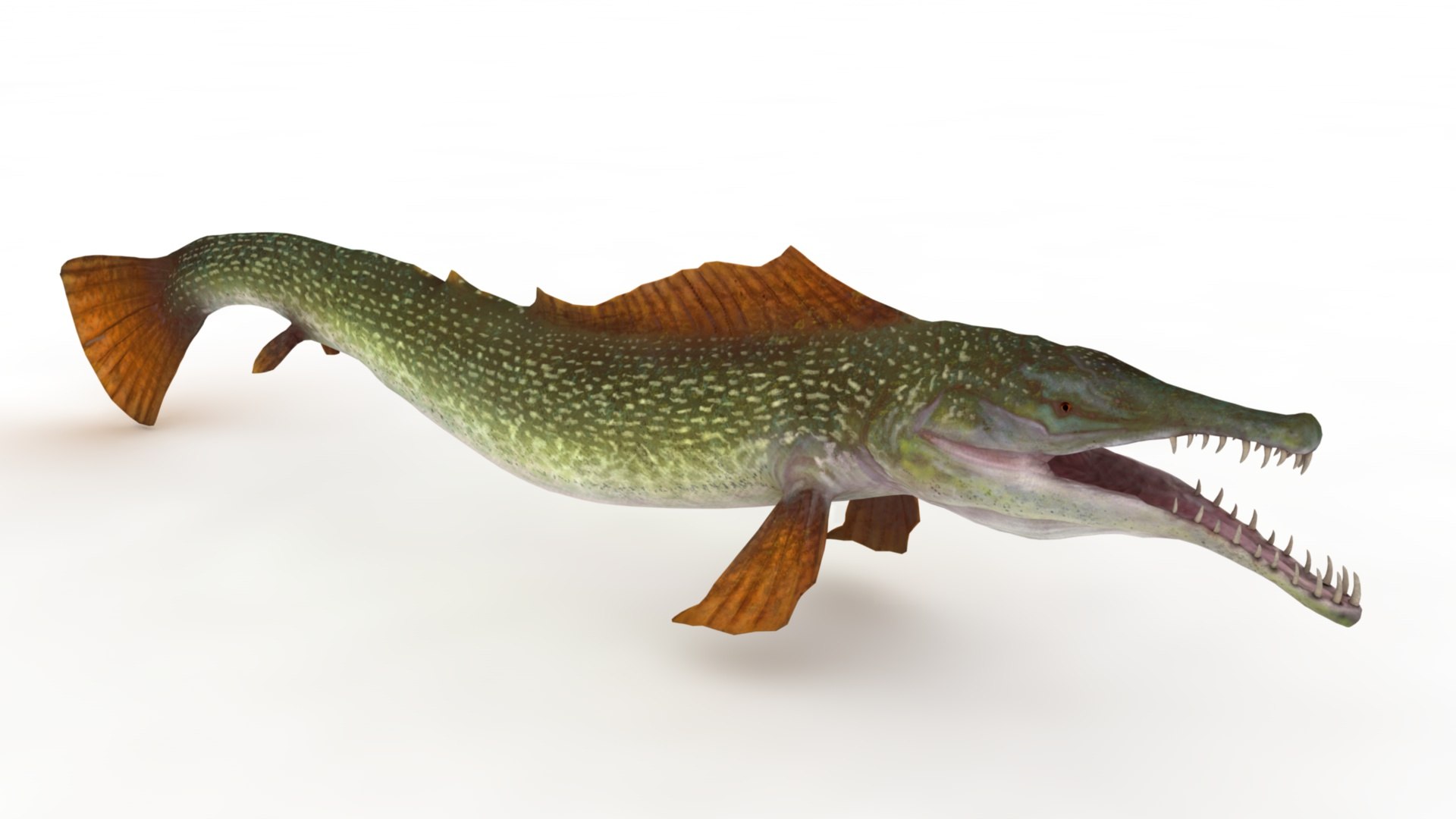 3D Sea Fish Model - TurboSquid 2274588