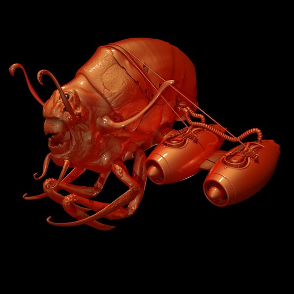 Cartoon Bug 3D Models for Download | TurboSquid