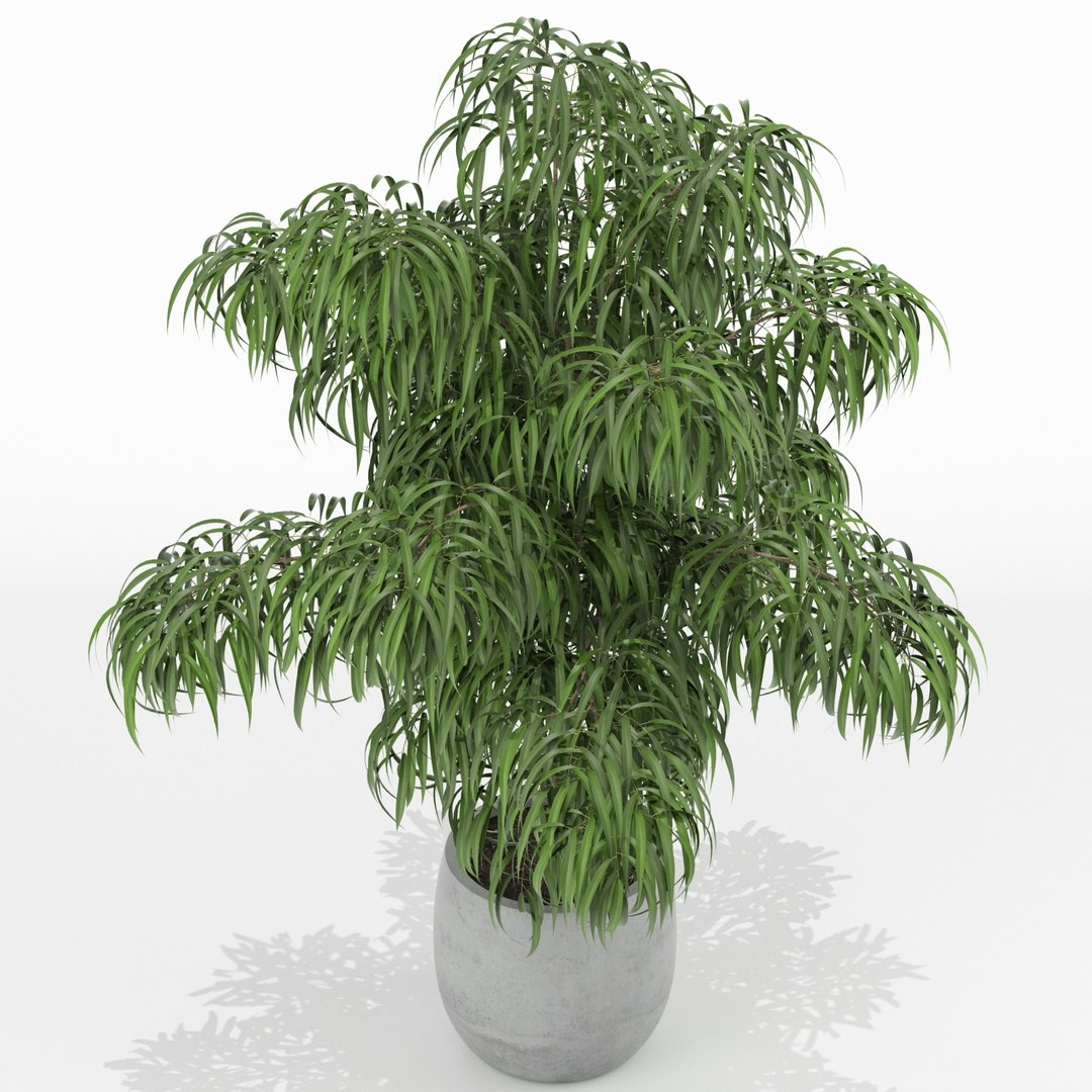 3D Plants 156 Model - TurboSquid 1423525