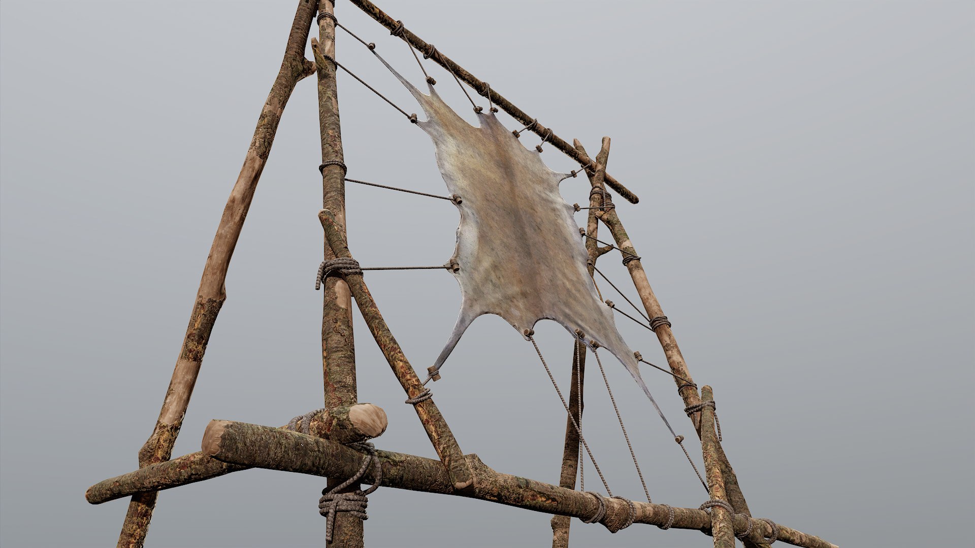 3D Hide Rack - TurboSquid 2199355