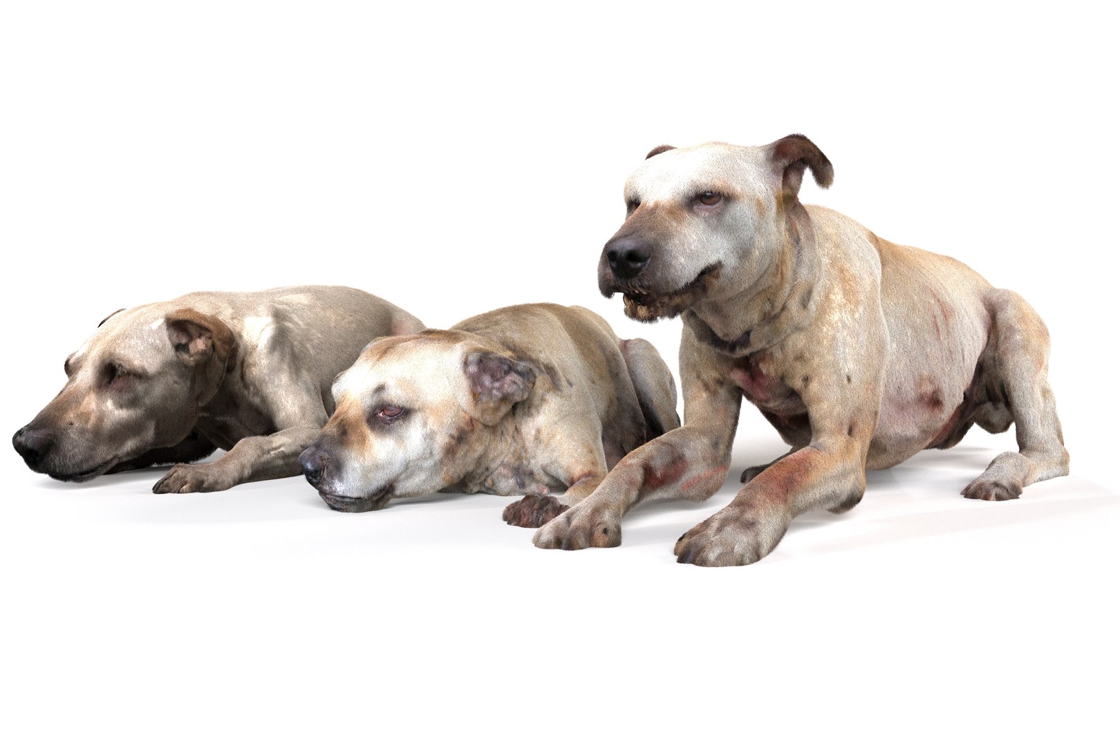 3D Model Old Furious Dog Pack - TurboSquid 2325986