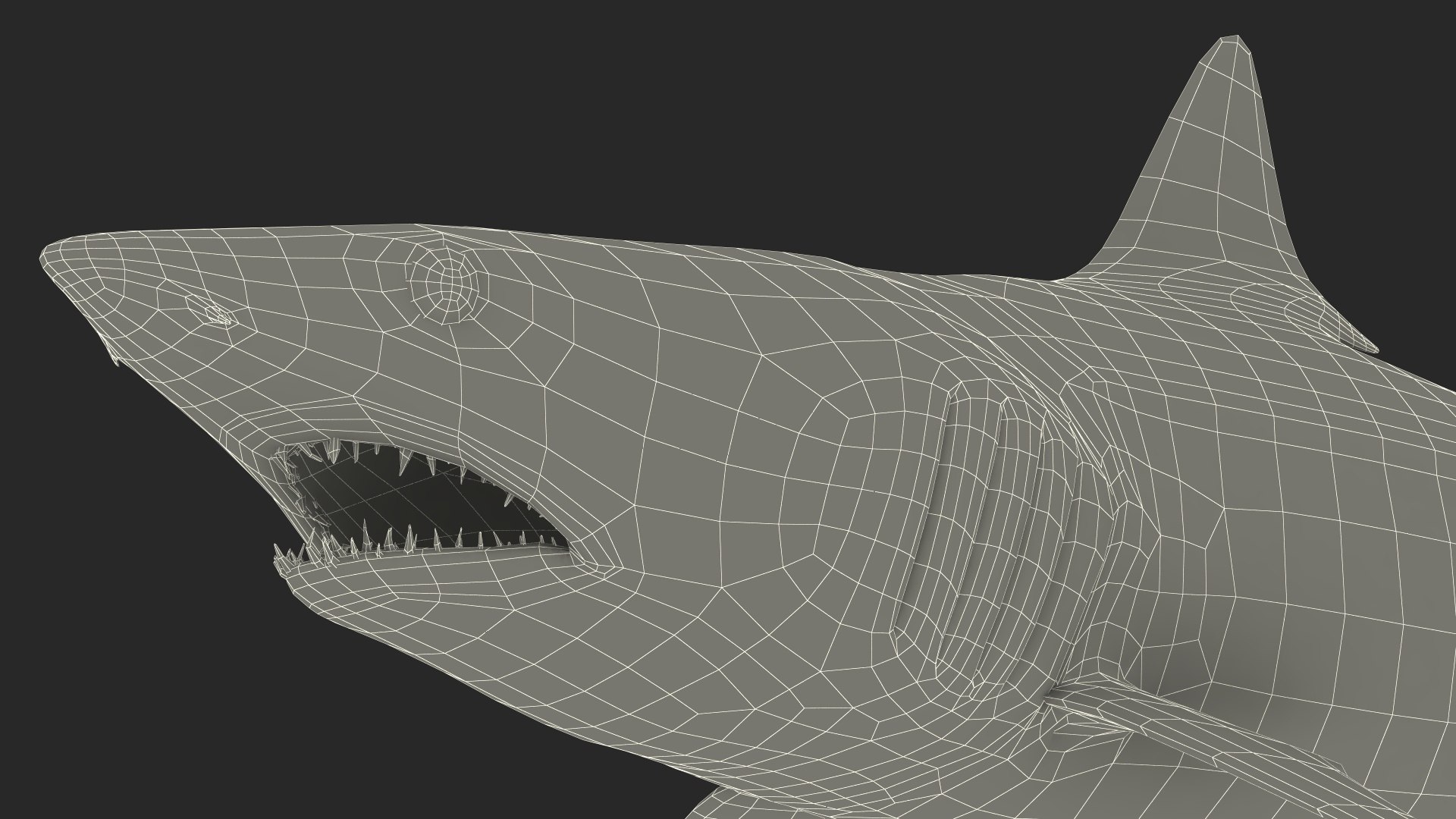 Isurus Oxyrinchus Shark 3D - TurboSquid 2292262