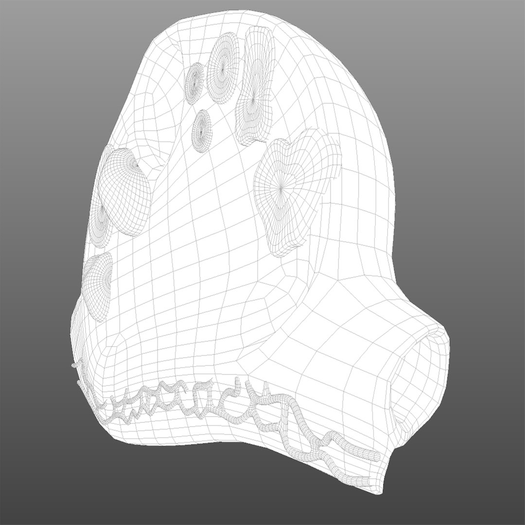 Anatomy Ovary 3D - TurboSquid 1520711