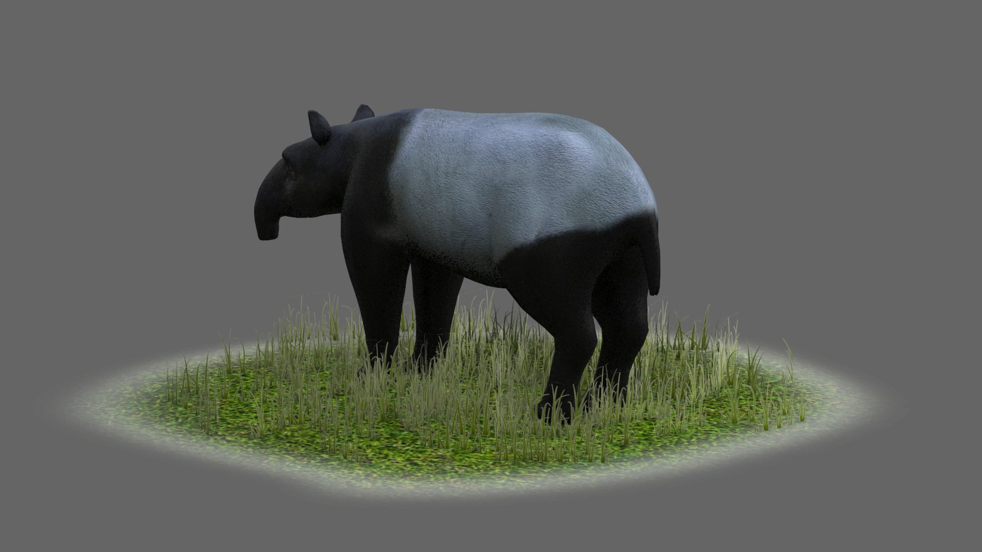 Lowland tapir Tapirus terrestris South tapir 3D model - TurboSquid 2156494