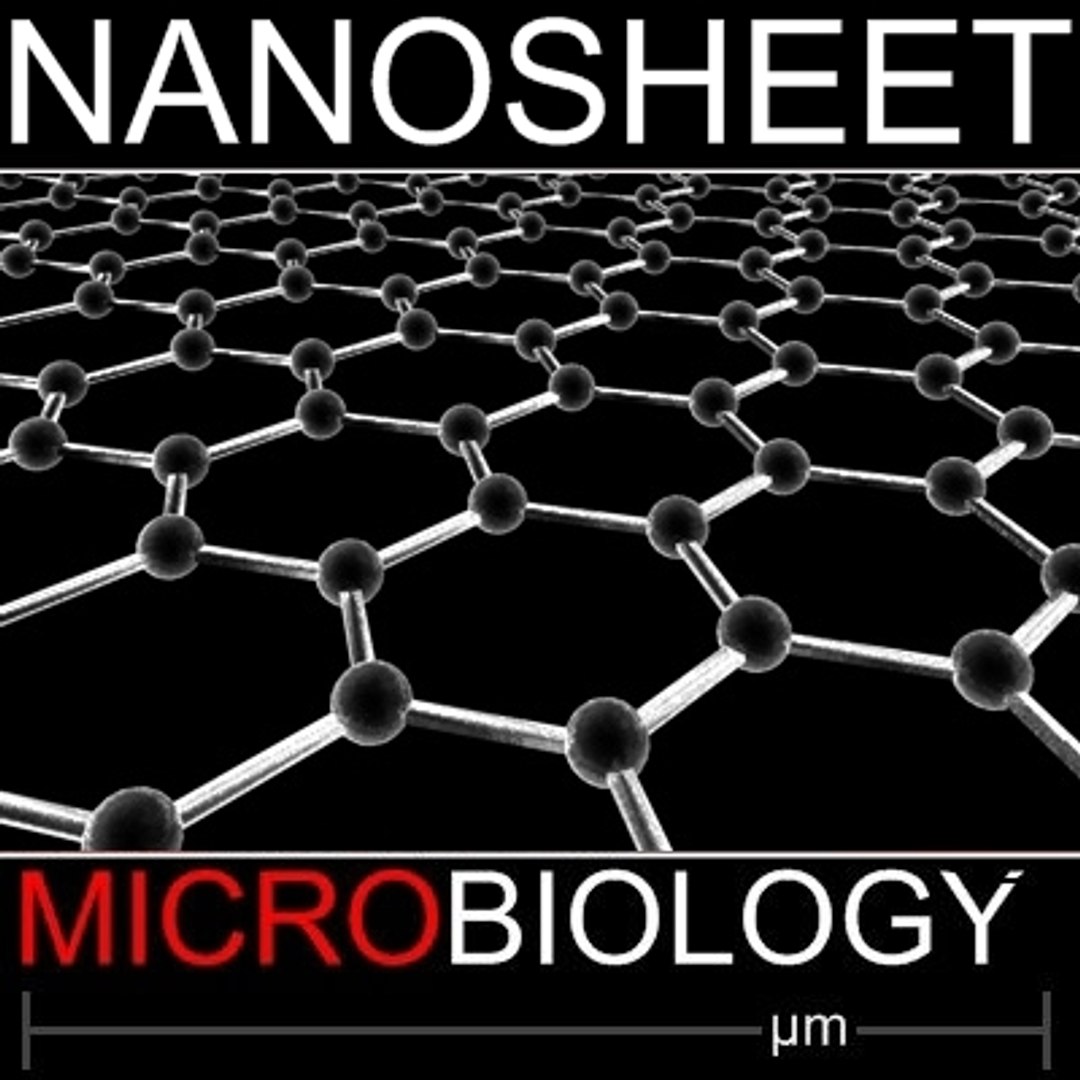Carbon Nanosheets 3d Model