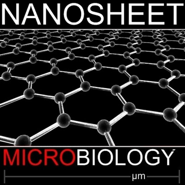 carbon nanosheets 3d model
